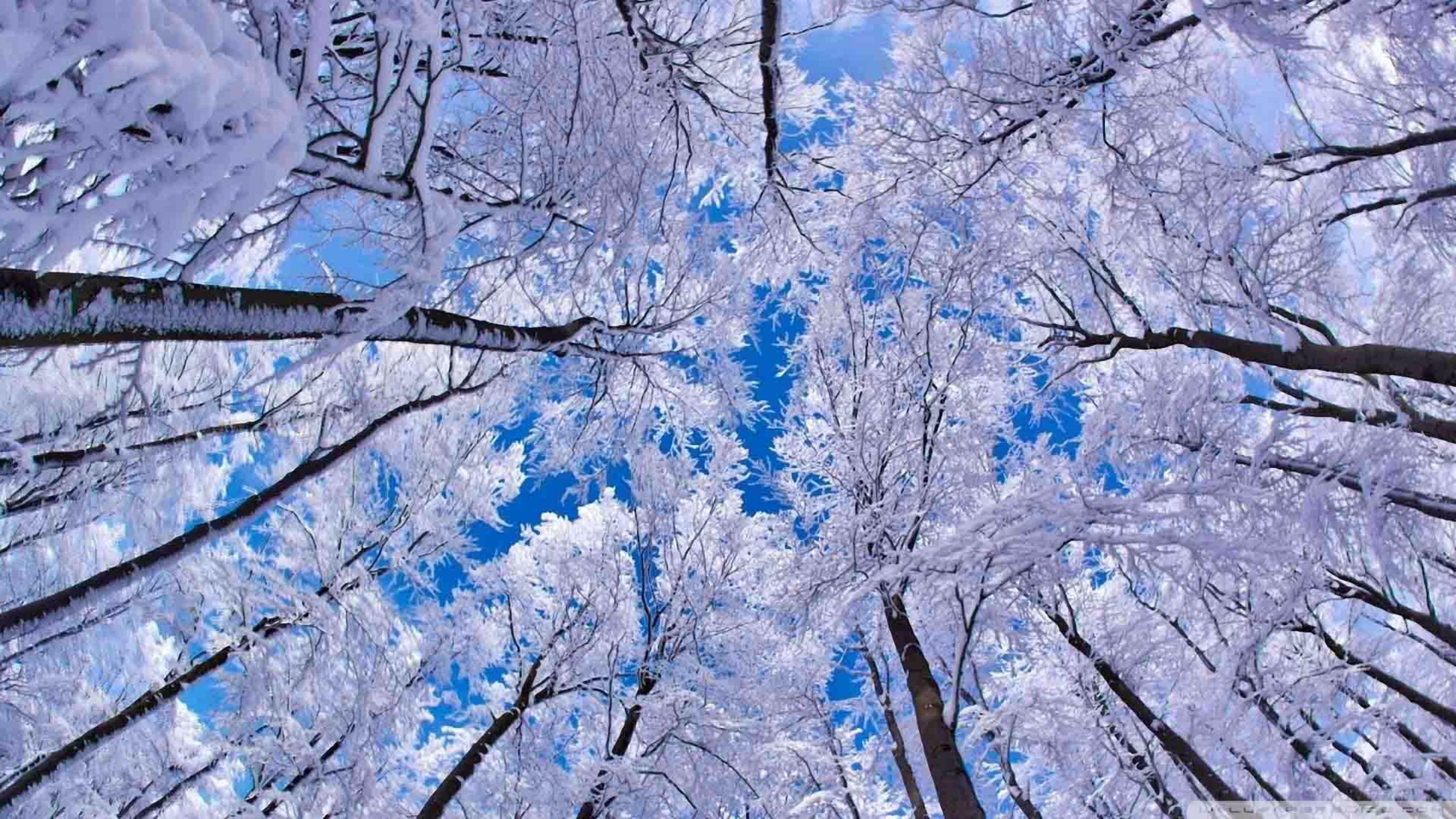 Winter Snow 4K Wallpapers - Top Free Winter Snow 4K Backgrounds ...
