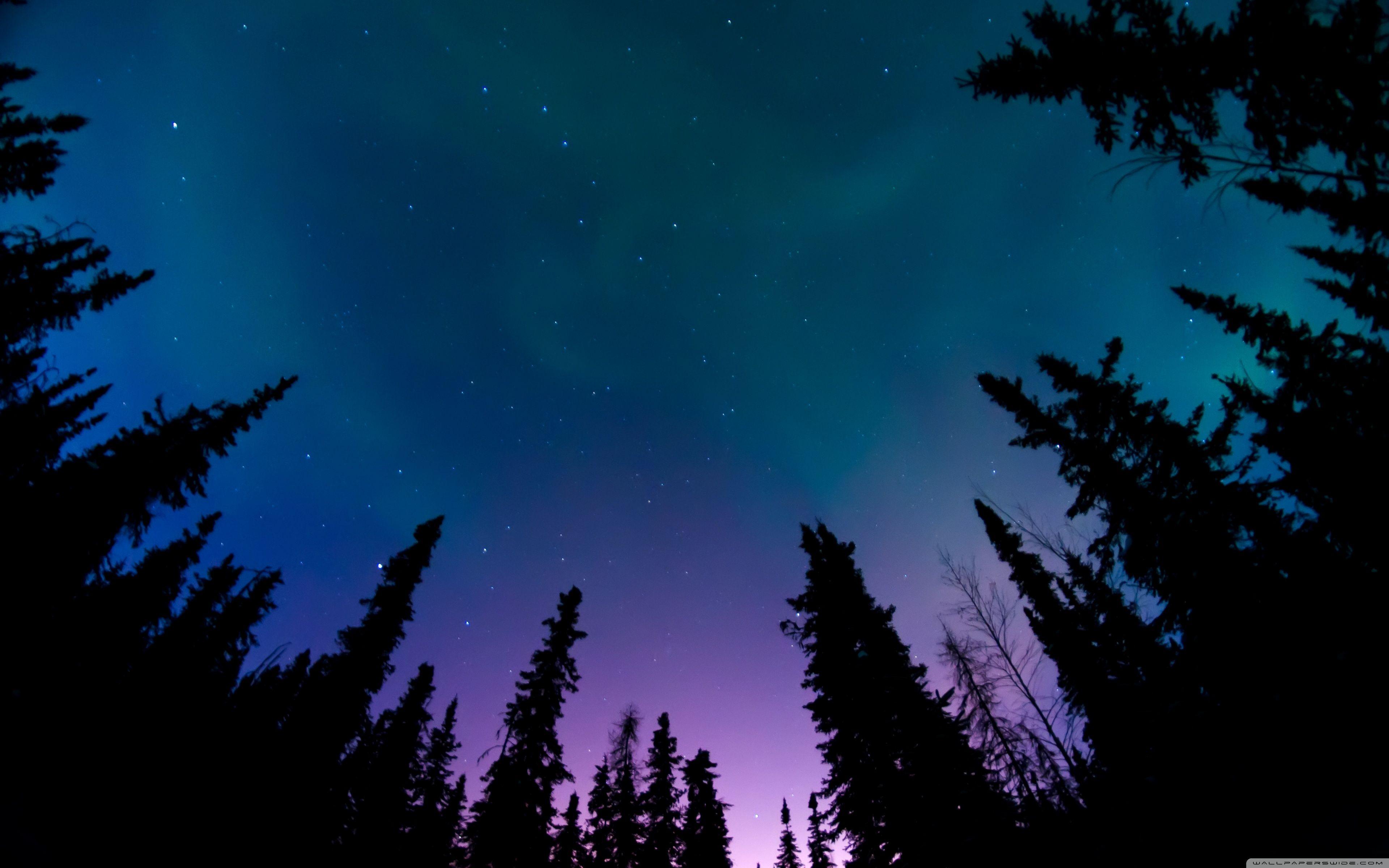 Bohemian Desktop Wallpapers - Top Free Bohemian Desktop Backgrounds ...