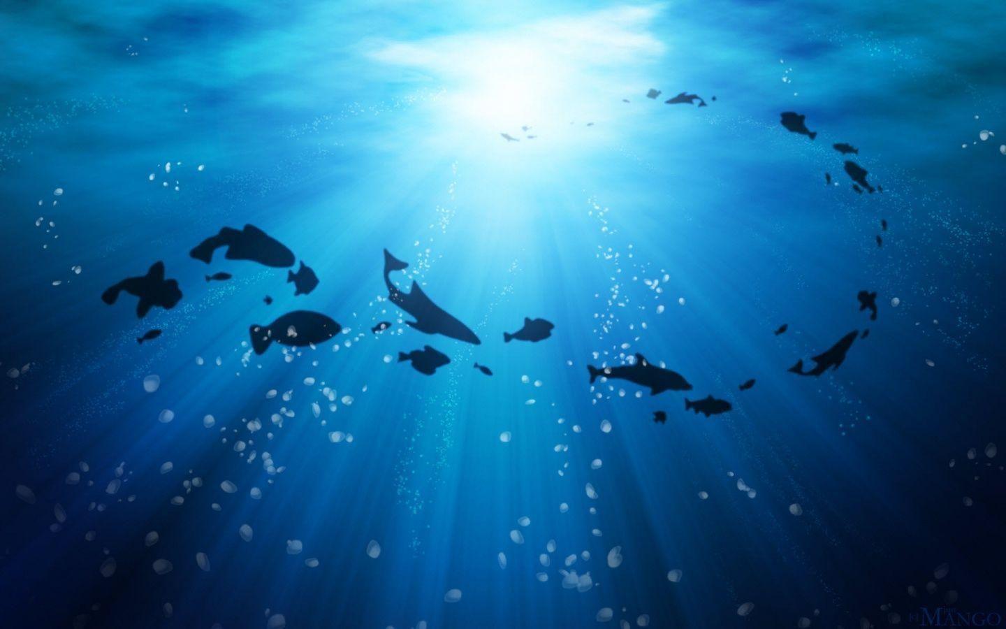 Deep Underwater Wallpapers - Top Free Deep Underwater Backgrounds ...