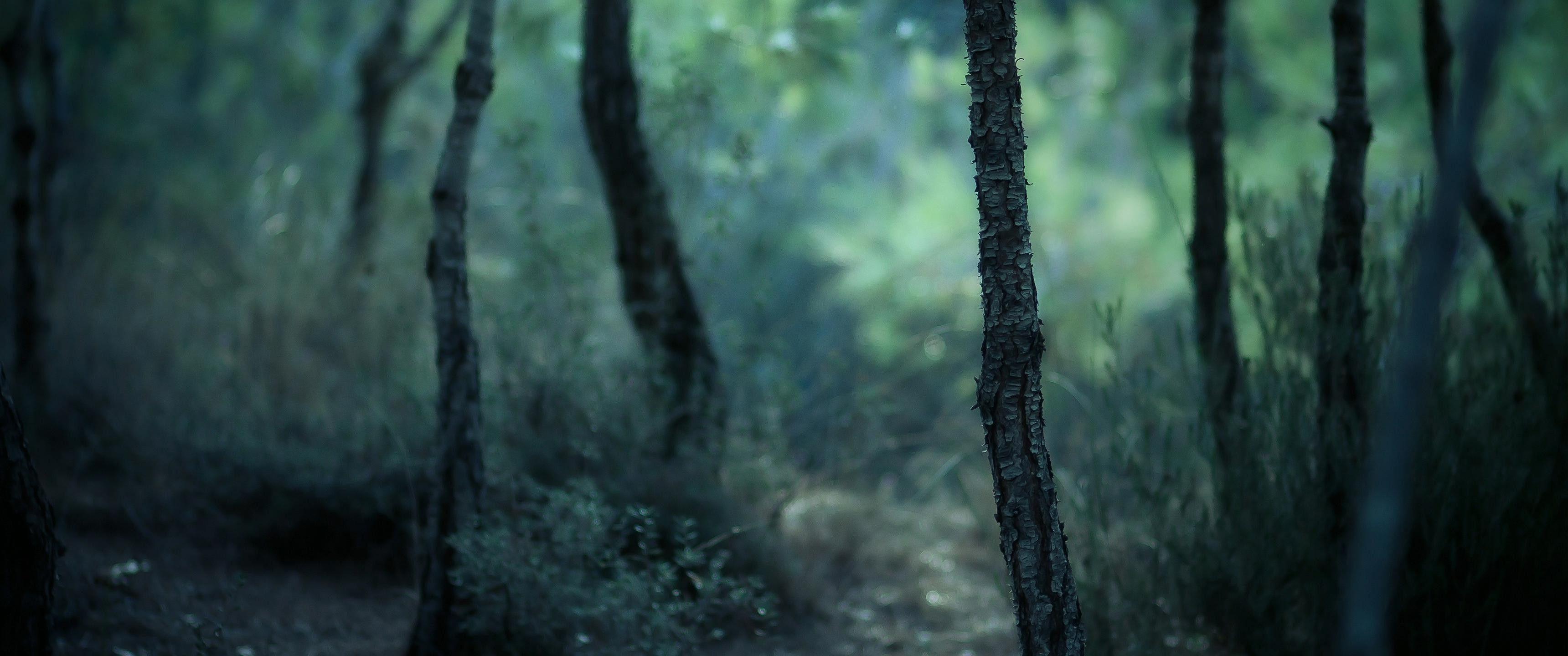 Ultra Wide Nature Wallpapers - Top Free Ultra Wide Nature Backgrounds ...