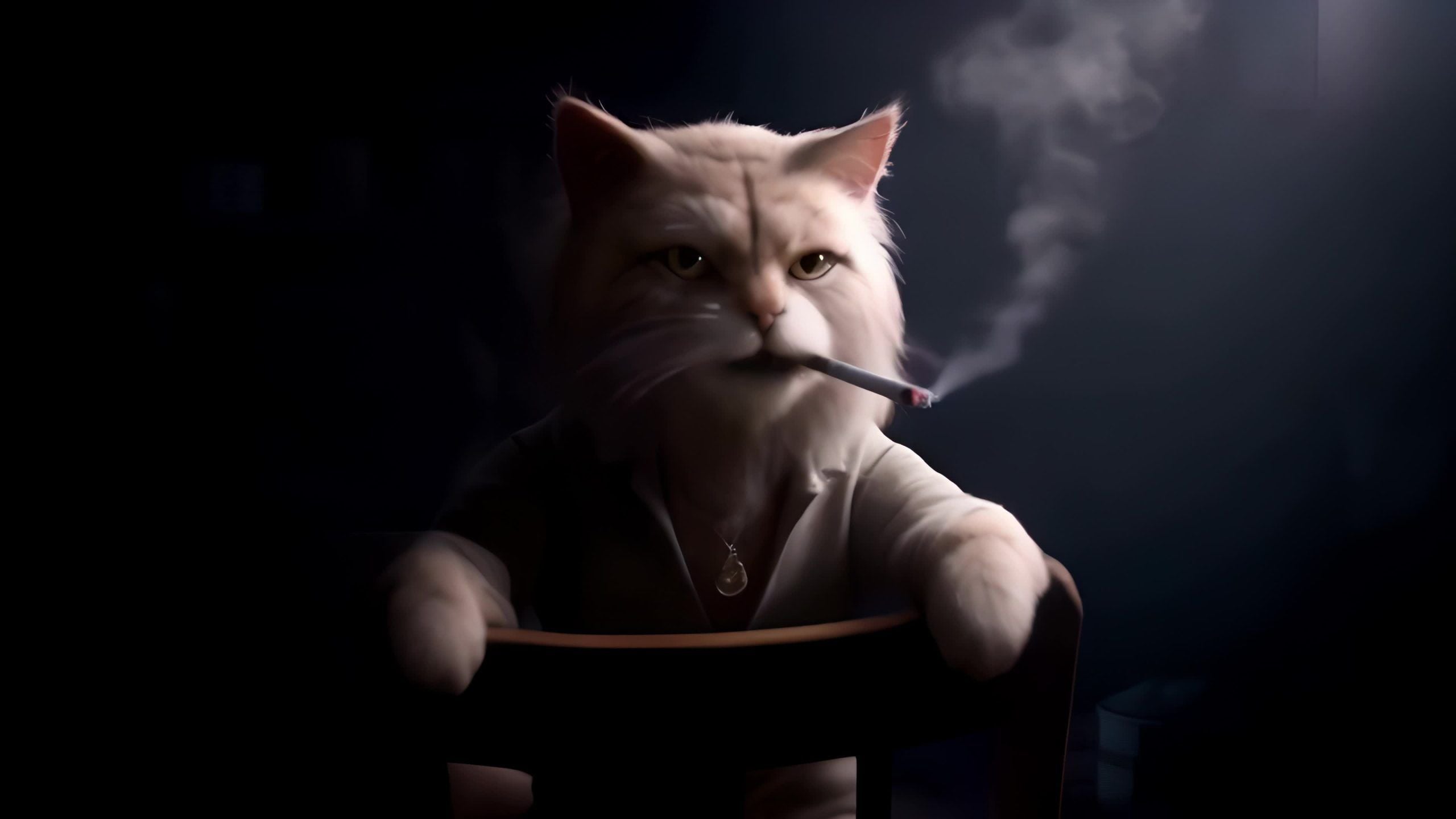 Cat Smoking Wallpapers - Top Free Cat Smoking Backgrounds - WallpaperAccess