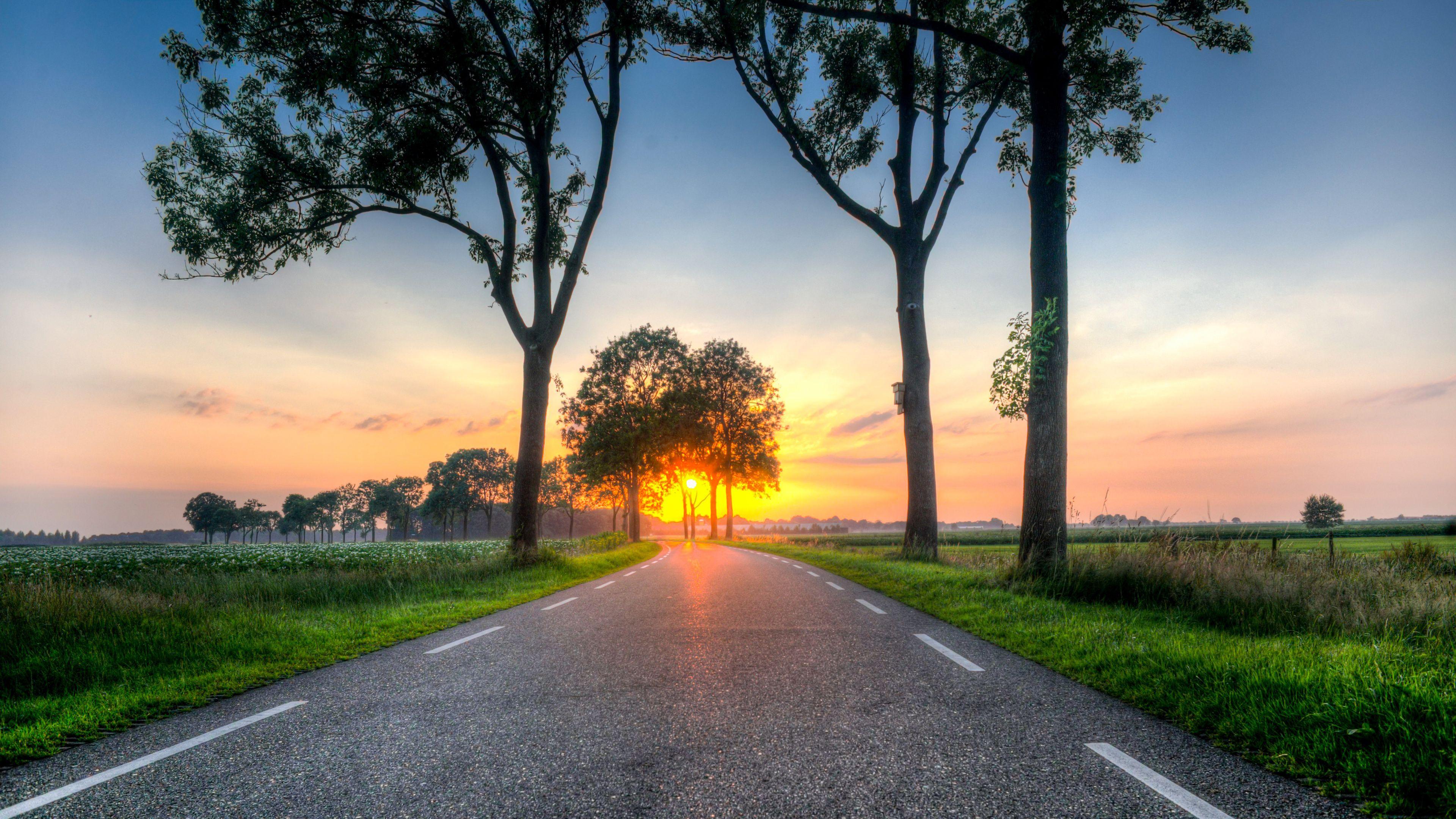 Pixel 4K Wallpapers - Top Free Pixel 4K Backgrounds - WallpaperAccess