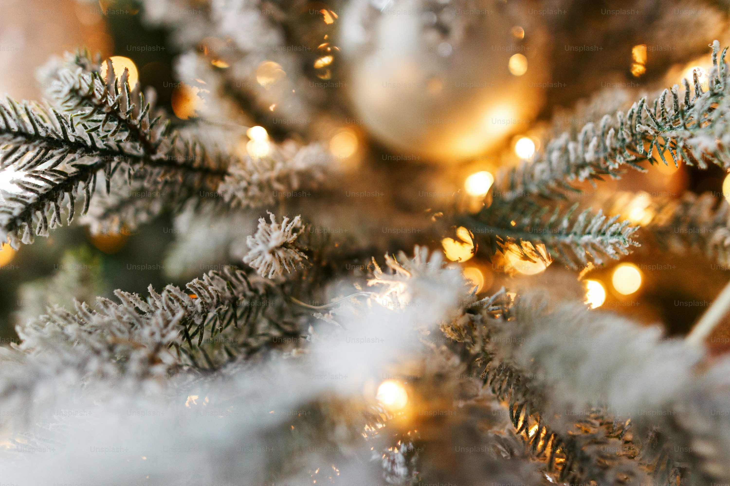 Christmas Tree In Snow Wallpapers - Top Free Christmas Tree In Snow ...