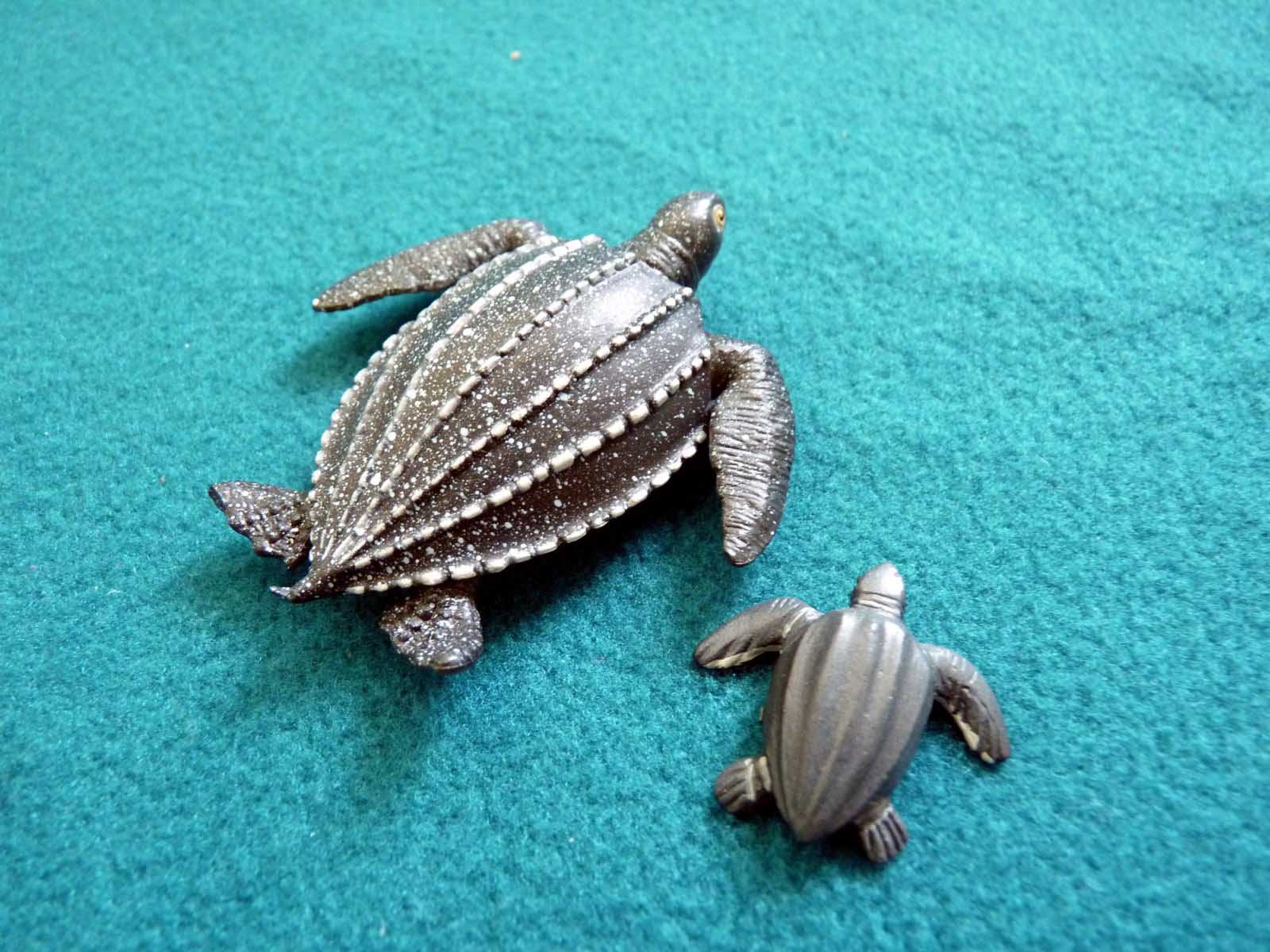 Cute Baby Turtle Wallpapers - Top Free Cute Baby Turtle Backgrounds ...