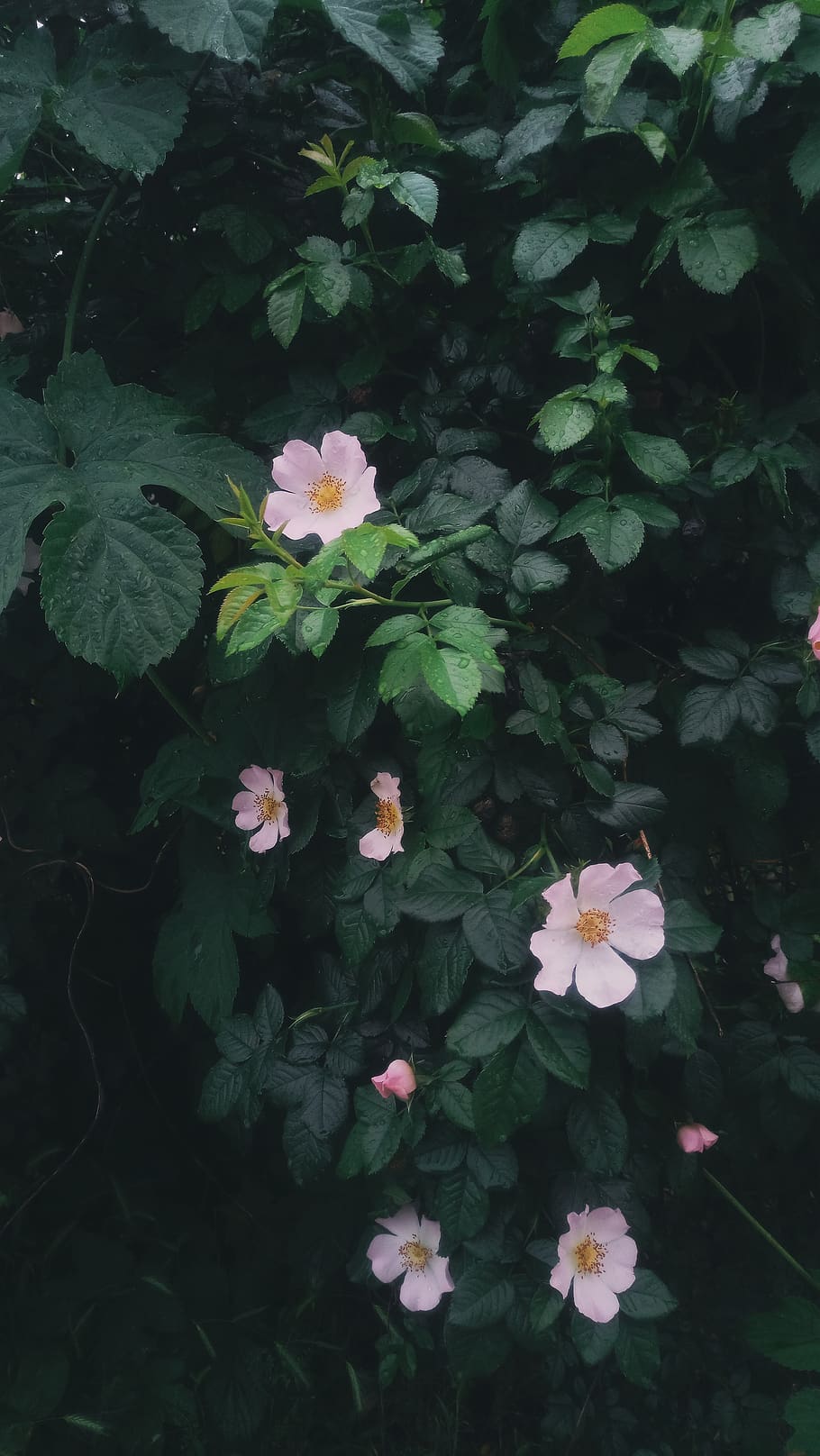 VSCO Nature Wallpapers - Top Free VSCO Nature Backgrounds - WallpaperAccess