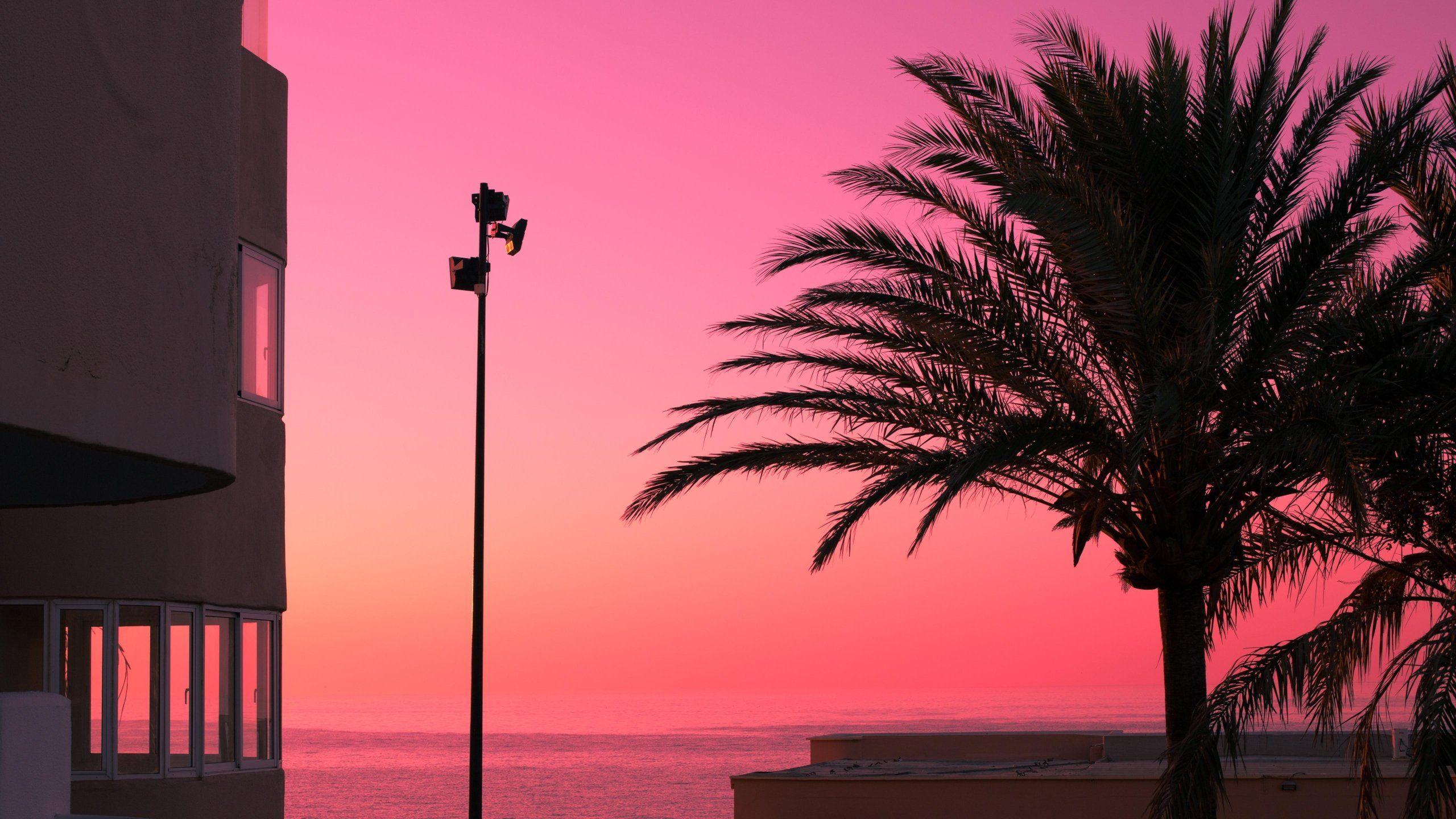 Late Night Wallpapers - Top Free Late Night Backgrounds - WallpaperAccess