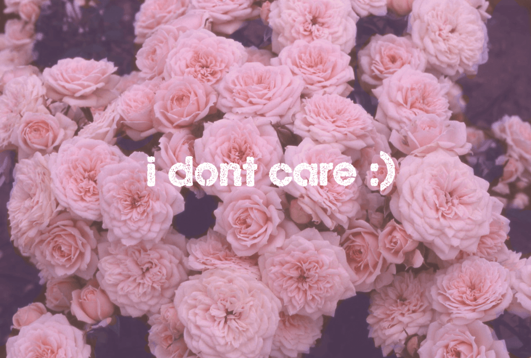 Aesthetic Rose Desktop Wallpapers - Top Free Aesthetic Rose Desktop ...