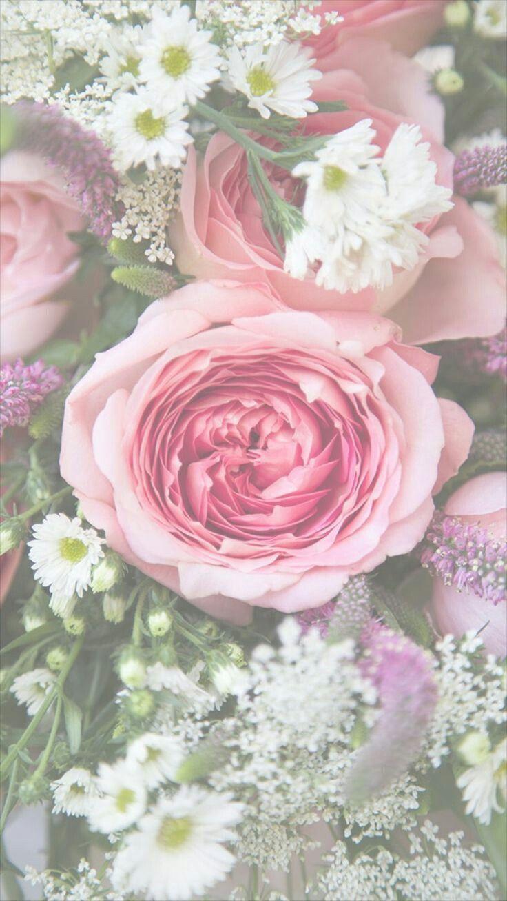 Flower Phone Wallpapers - Top Free Flower Phone Backgrounds ...