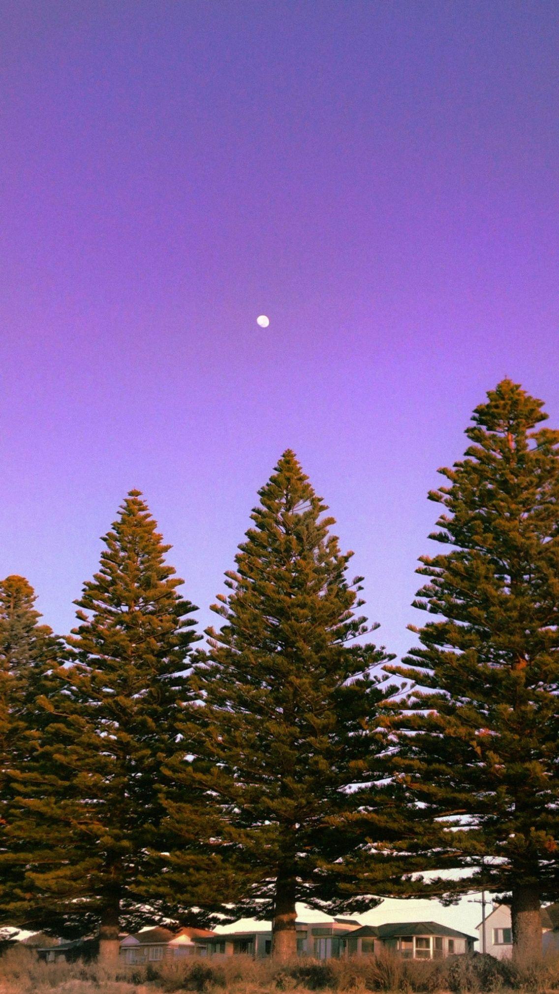 Purple VSCO Wallpapers - Top Free Purple VSCO Backgrounds - WallpaperAccess