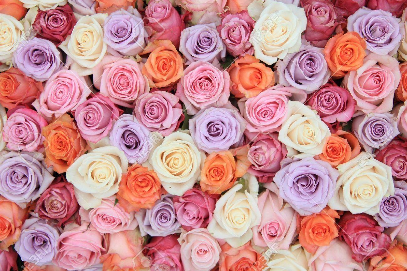 Pastel Floral Computer Wallpapers - Top Free Pastel Floral Computer ...