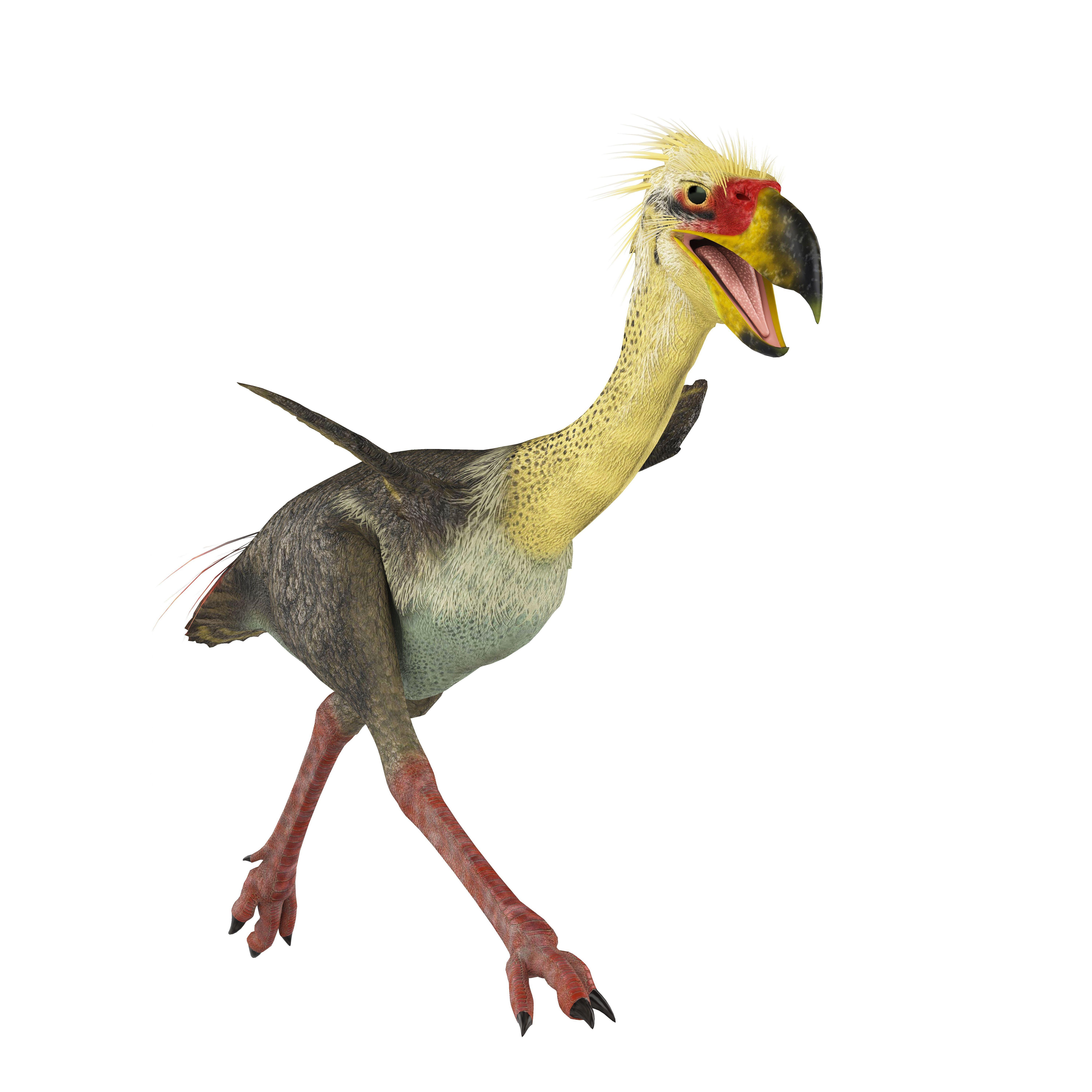 6000X6000 Wallpapers - Top Free 6000X6000 Backgrounds - WallpaperAccess