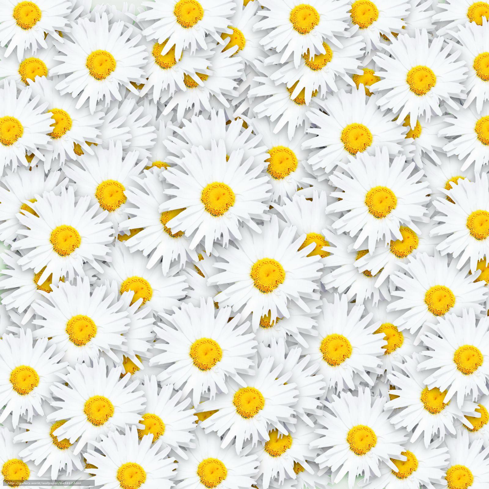 6000X6000 Wallpapers - Top Free 6000X6000 Backgrounds - WallpaperAccess