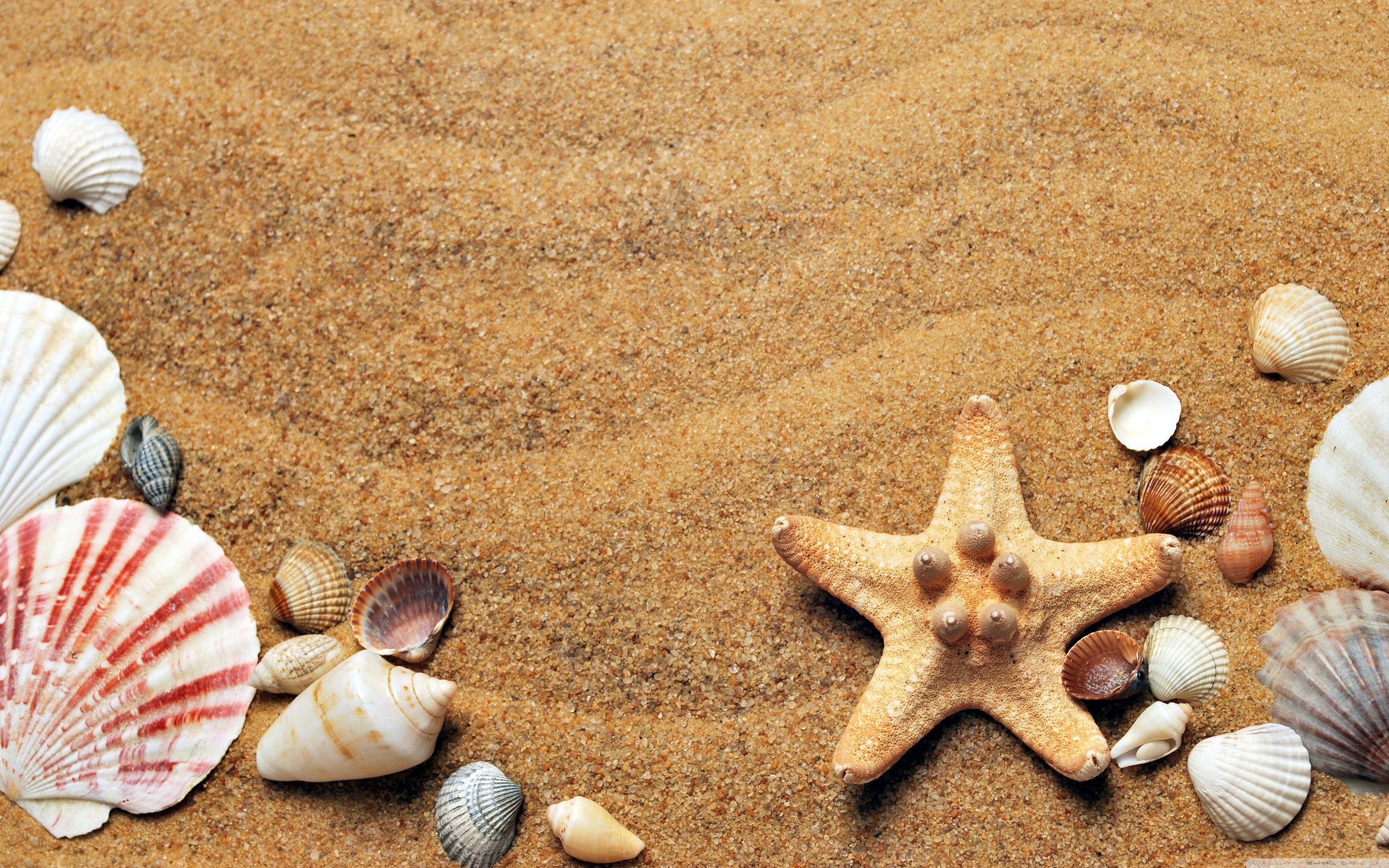 Summer Life Wallpapers - Top Free Summer Life Backgrounds - WallpaperAccess