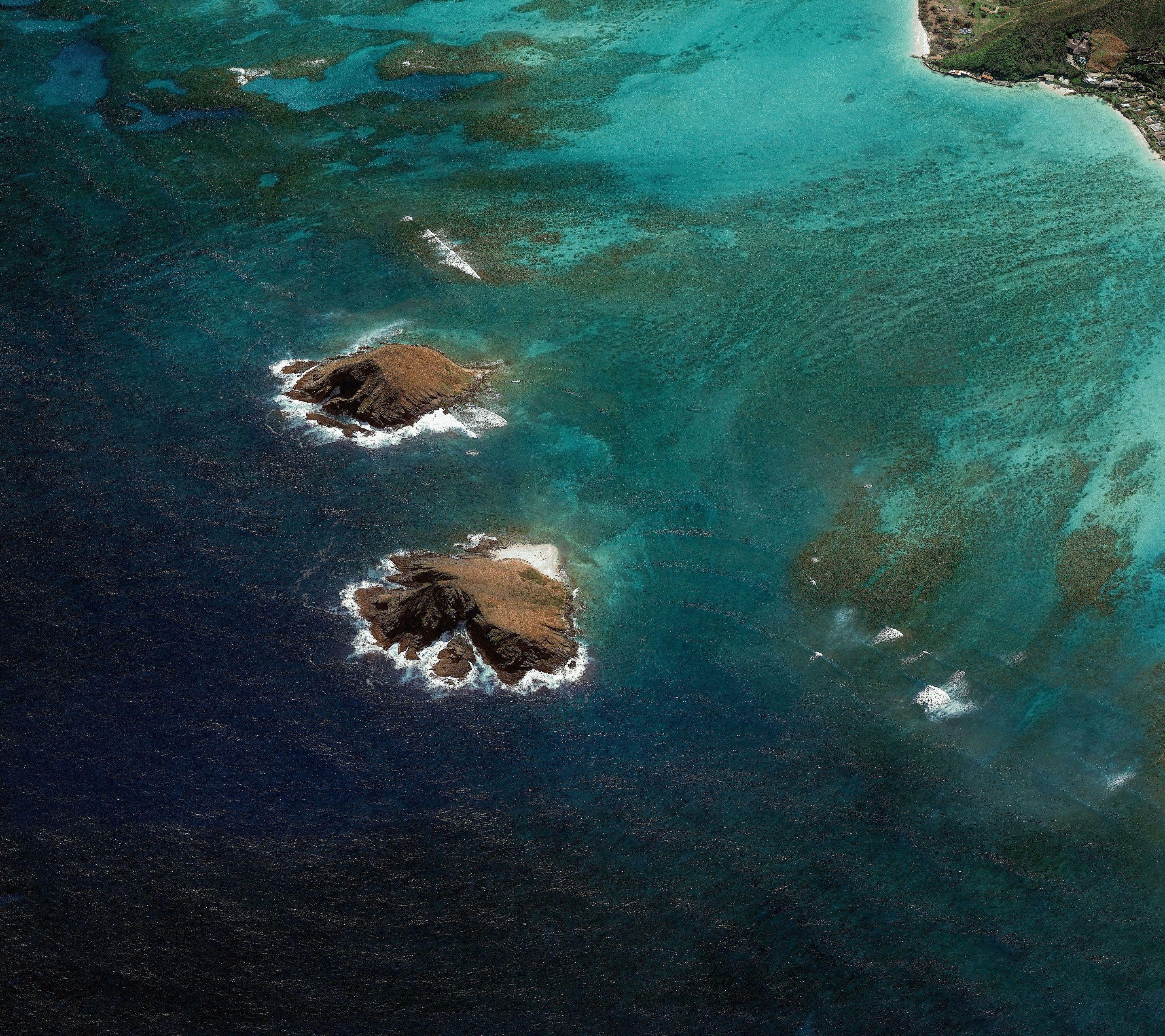 Android One Wallpapers - Top Free Android One Backgrounds - WallpaperAccess