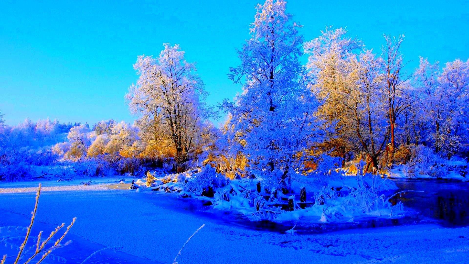 Blue Trees Wallpapers - Top Free Blue Trees Backgrounds - WallpaperAccess