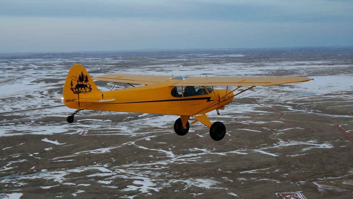 Piper Cub Wallpapers - Top Free Piper Cub Backgrounds - WallpaperAccess