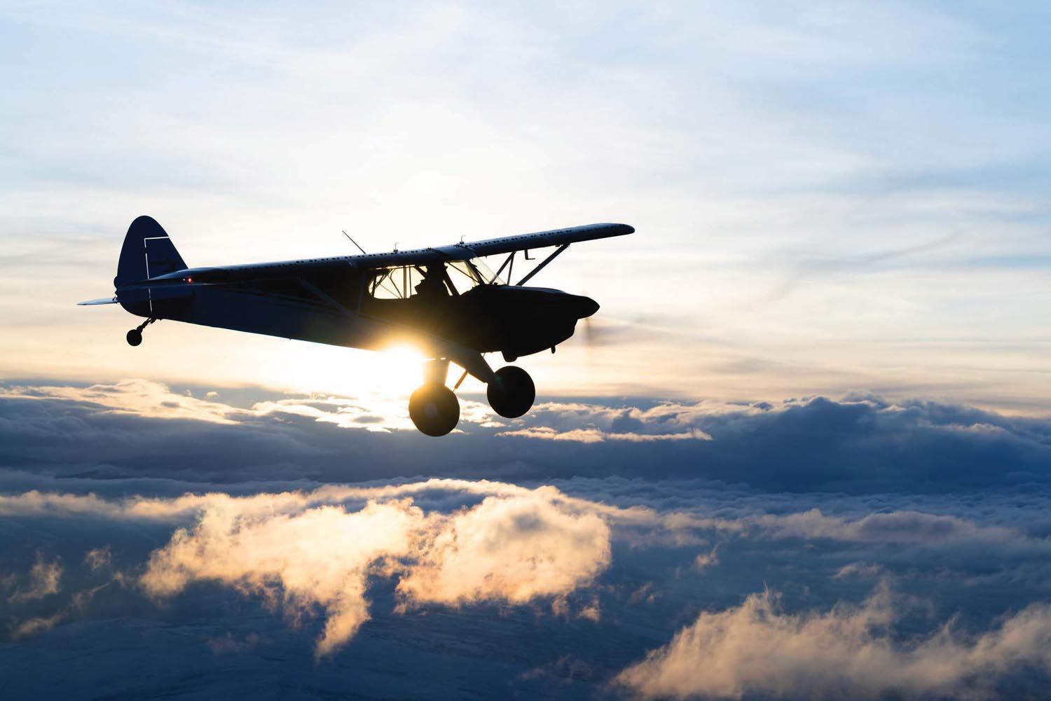Piper Cub Wallpapers - Top Free Piper Cub Backgrounds - WallpaperAccess