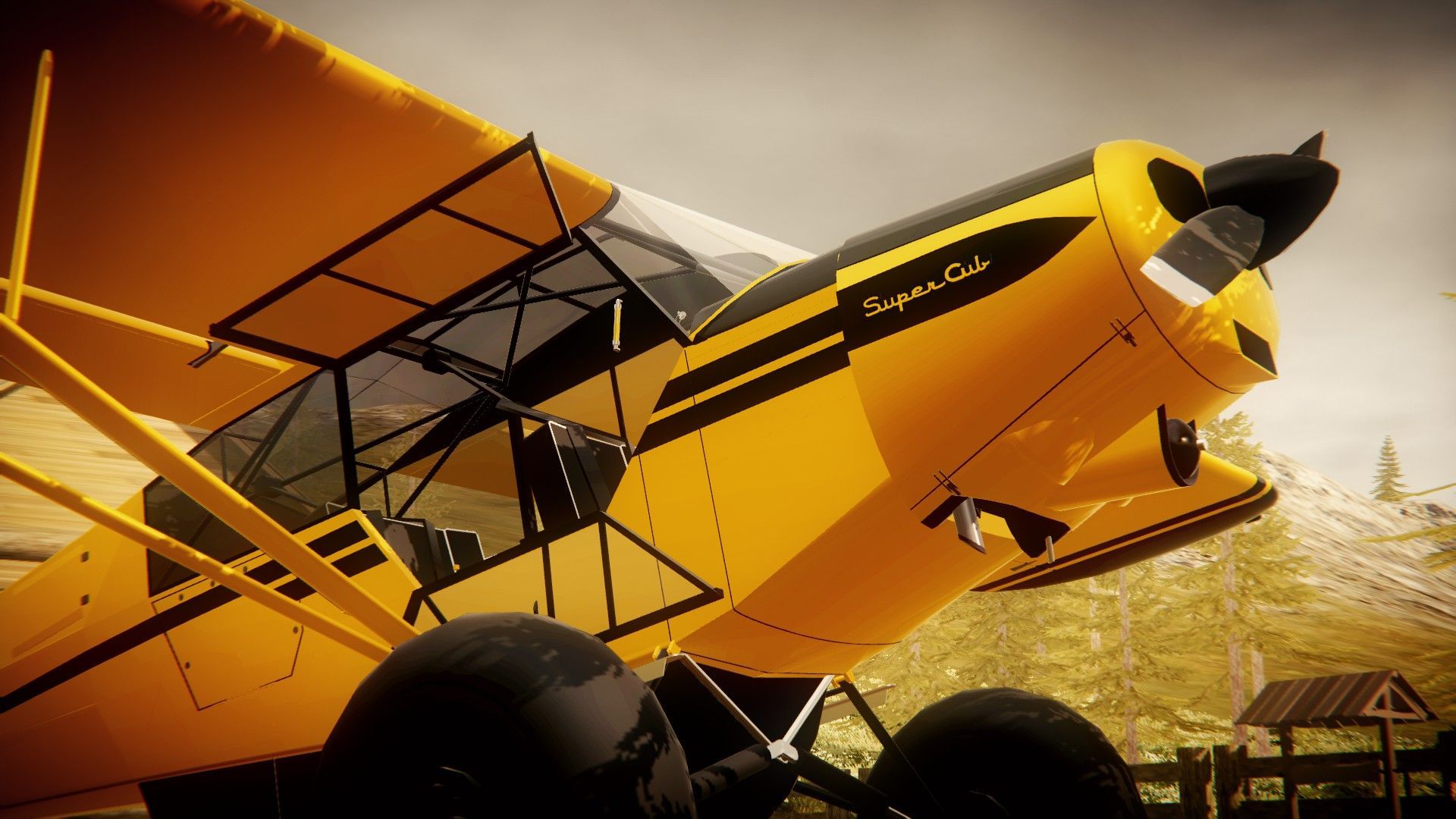 Piper Cub Wallpapers - Top Free Piper Cub Backgrounds - WallpaperAccess