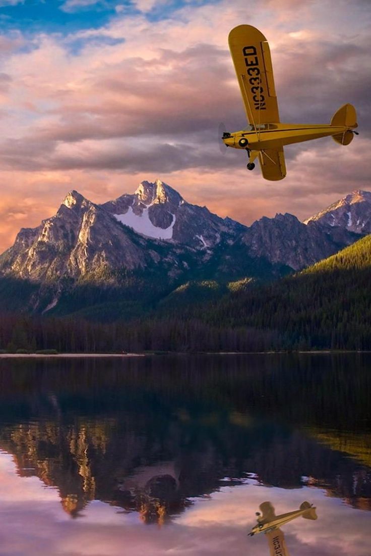 Piper Cub Wallpapers - Top Free Piper Cub Backgrounds - WallpaperAccess