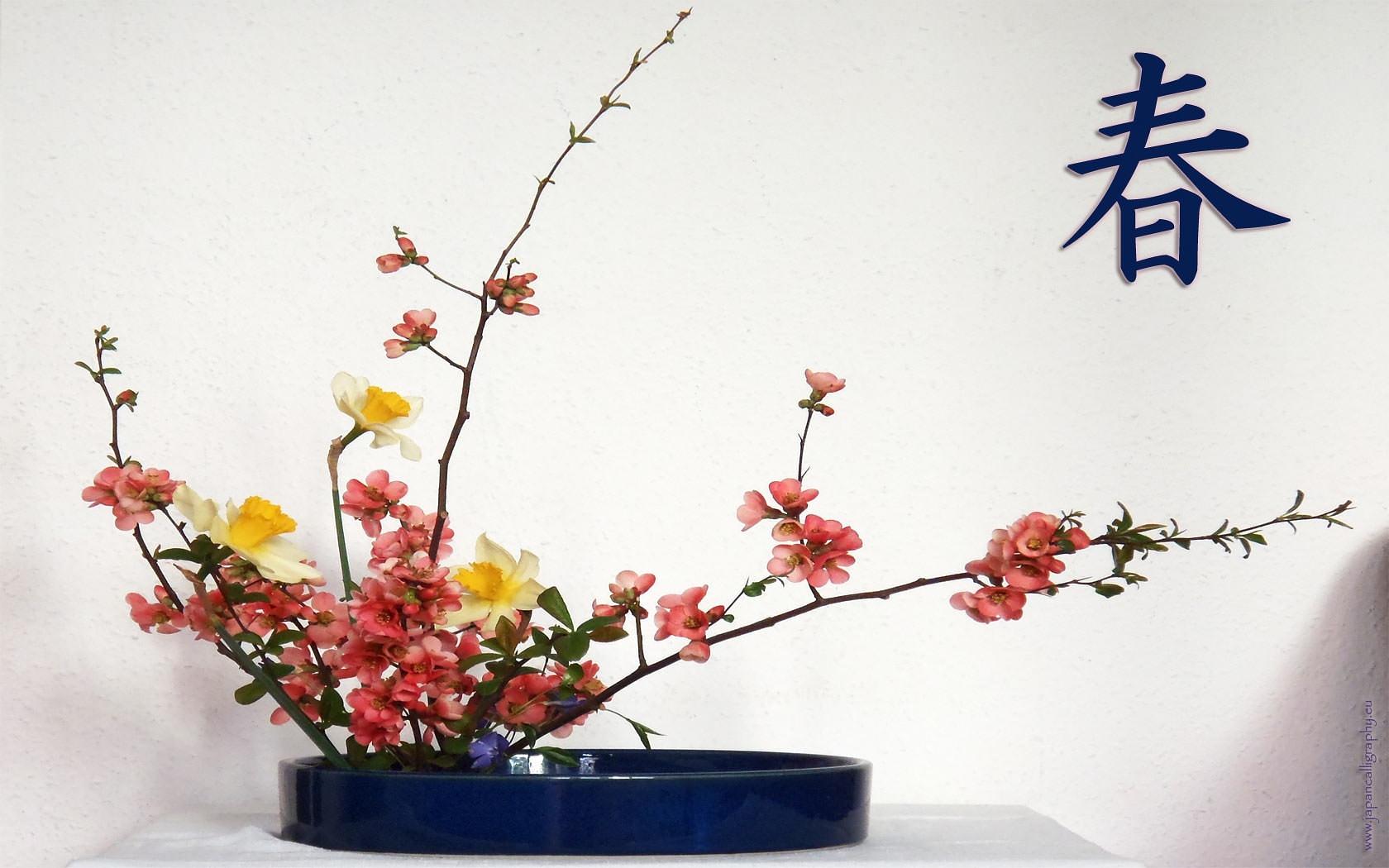 Ikebana Wallpapers - Top Free Ikebana Backgrounds - WallpaperAccess