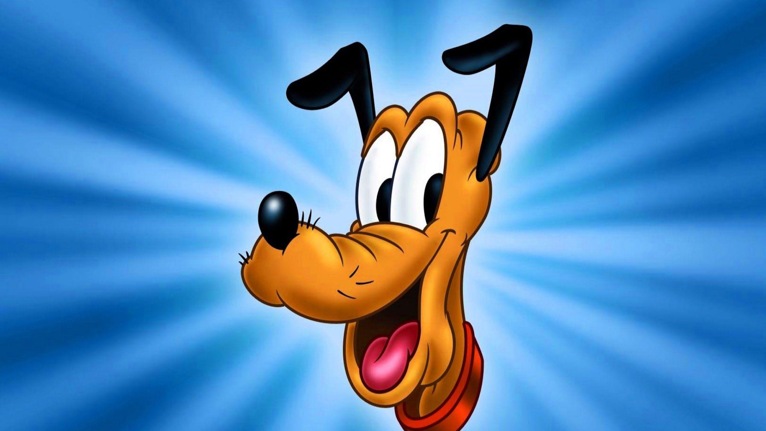 Disney Pluto Wallpapers - Top Free Disney Pluto Backgrounds ...