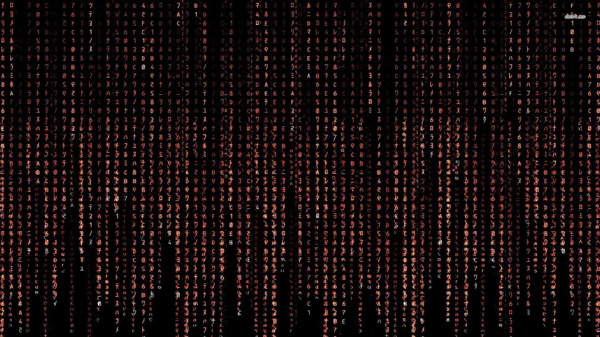 Red Matrix Wallpapers - Top Free Red Matrix Backgrounds - WallpaperAccess