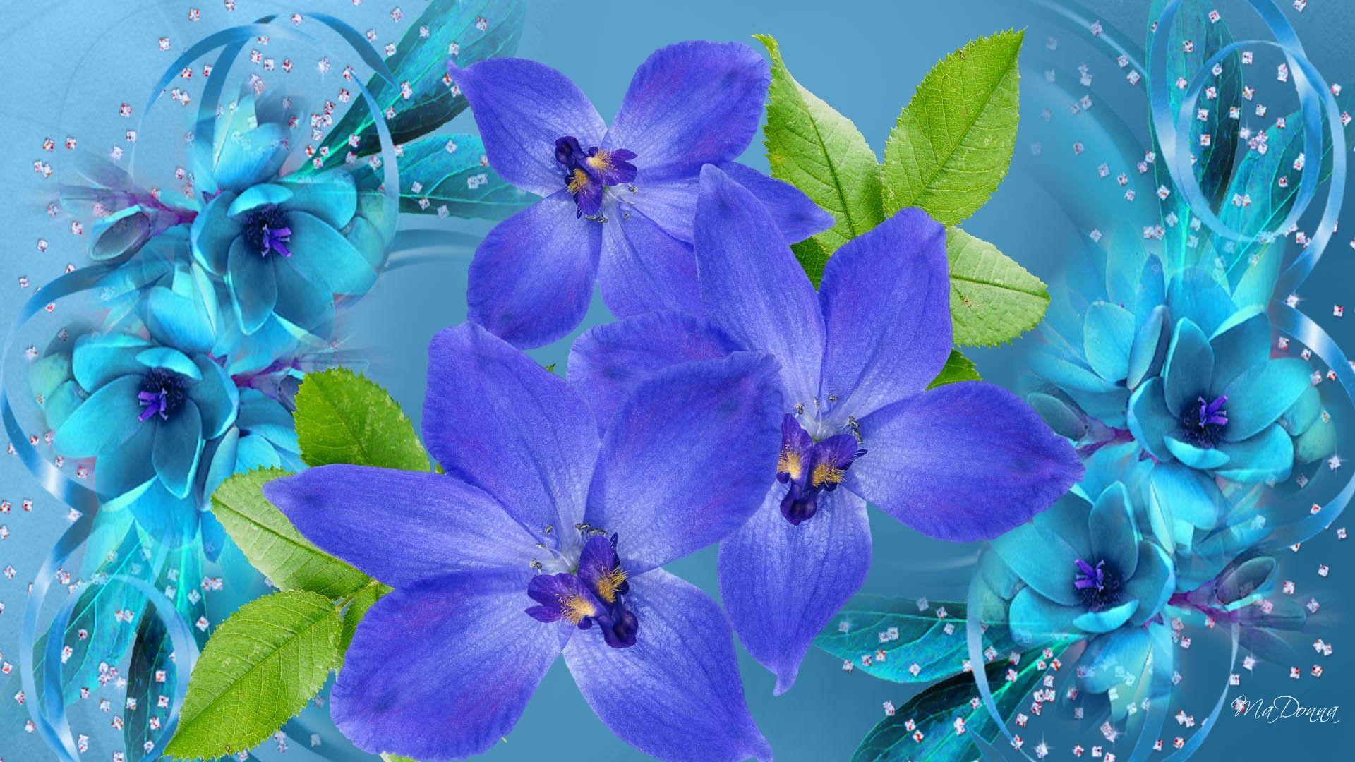 Blue and Purple Flowers Wallpapers - Top Free Blue and Purple Flowers ...
