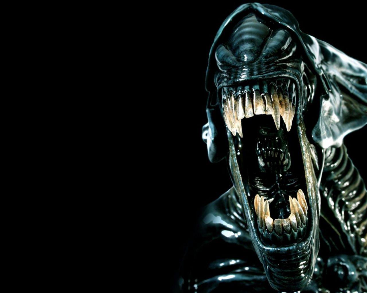 Alien 1979 Wallpapers - Top Free Alien 1979 Backgrounds - WallpaperAccess