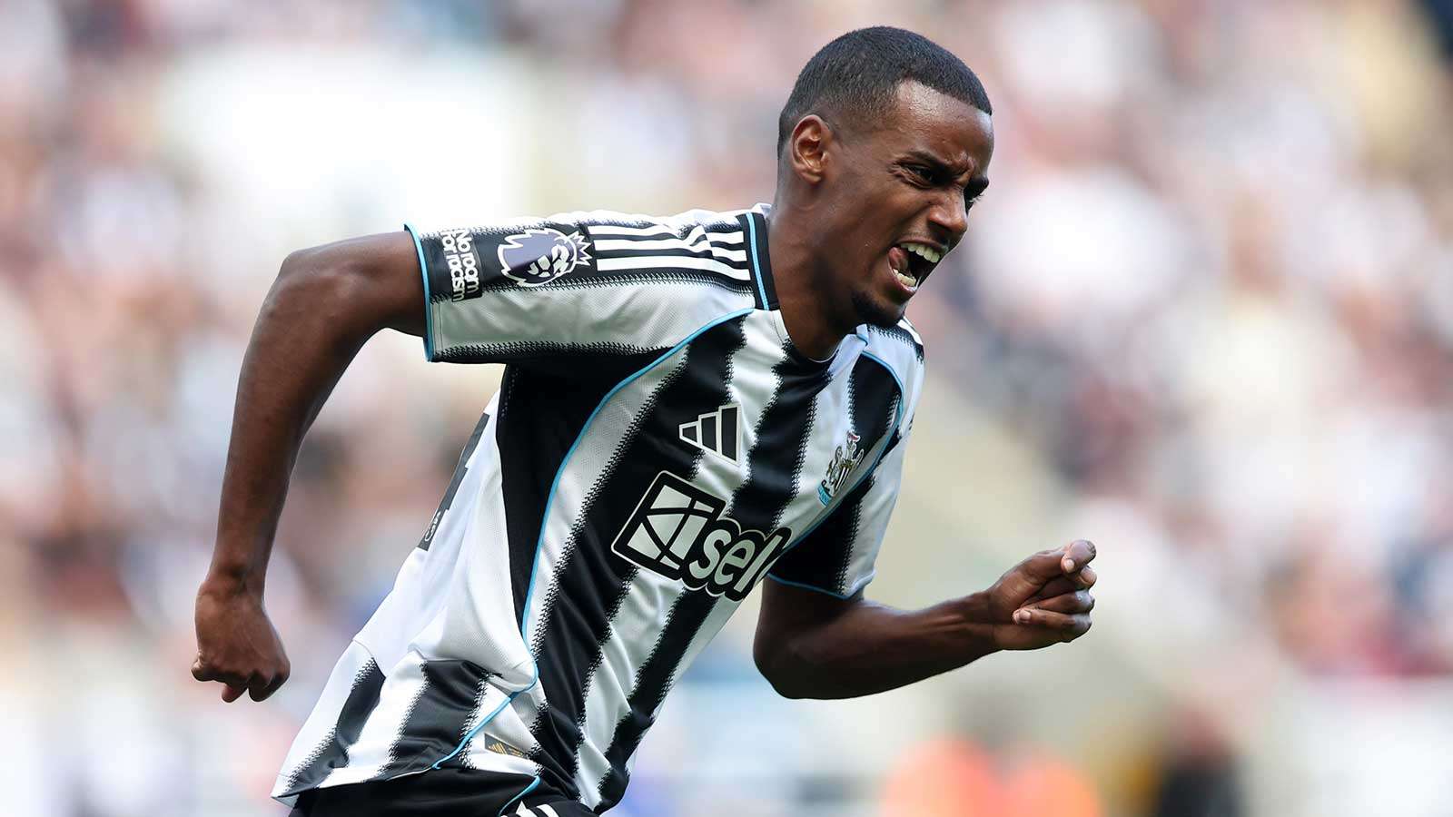 Alexander Isak Wallpapers - Top Free Alexander Isak Backgrounds ...