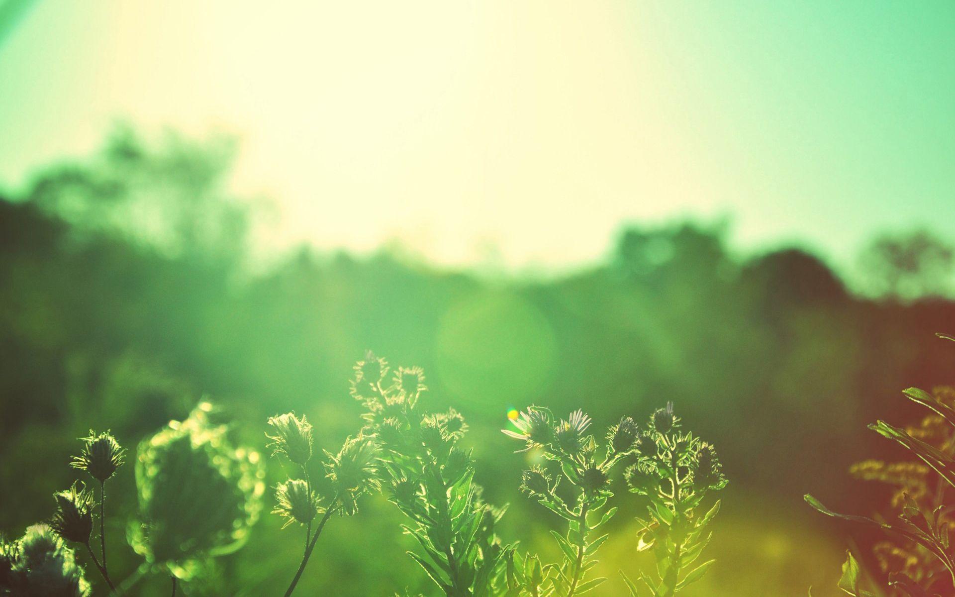 Sunlight Wallpapers - Top Free Sunlight Backgrounds - WallpaperAccess