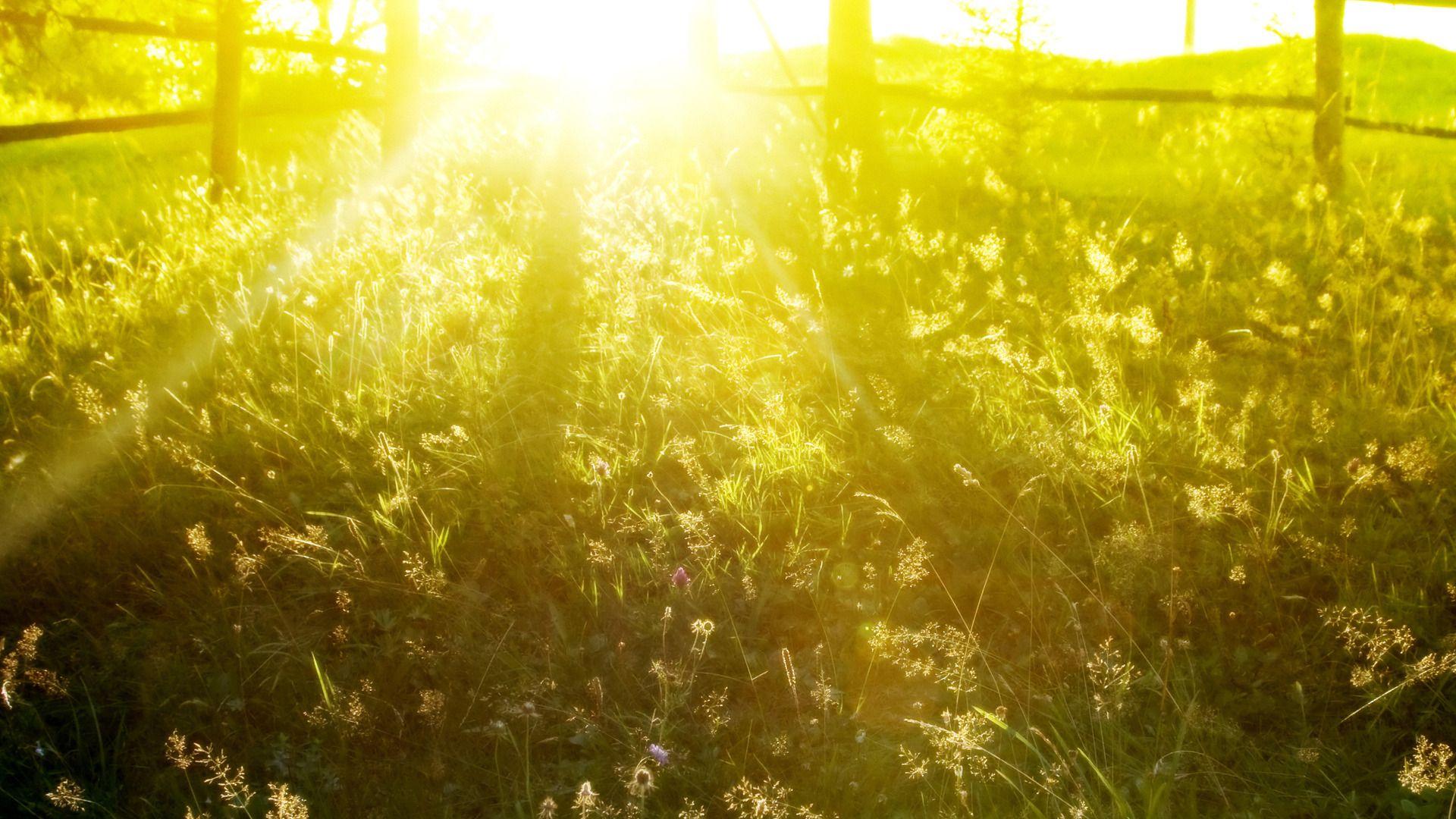 Sun Rays Wallpapers - Top Free Sun Rays Backgrounds - WallpaperAccess