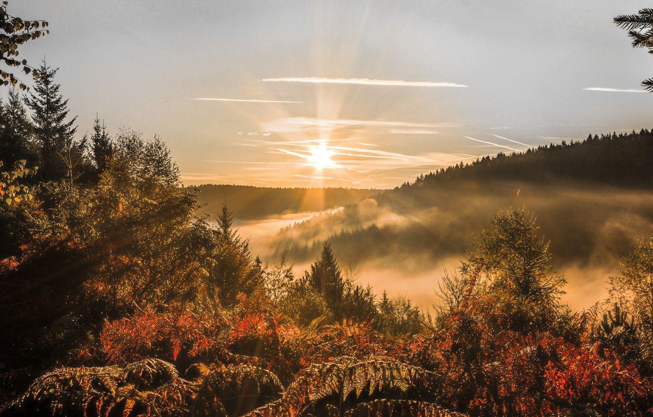 Sun Rays Wallpapers - Top Free Sun Rays Backgrounds - WallpaperAccess