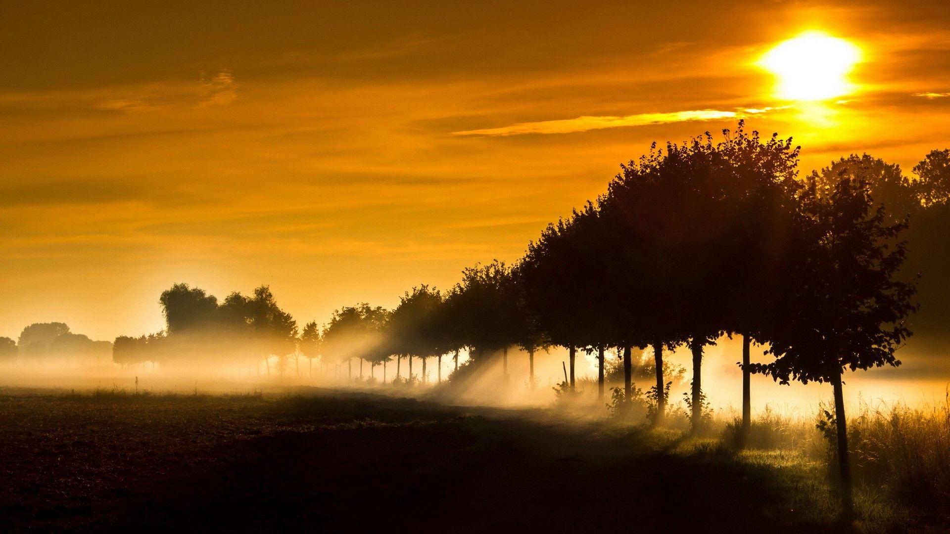 Sun Nature Wallpapers - Top Free Sun Nature Backgrounds - WallpaperAccess