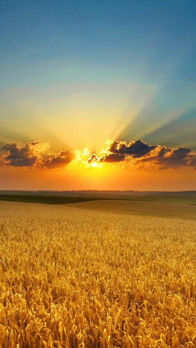 Sun iPhone Wallpapers - Top Free Sun iPhone Backgrounds - WallpaperAccess