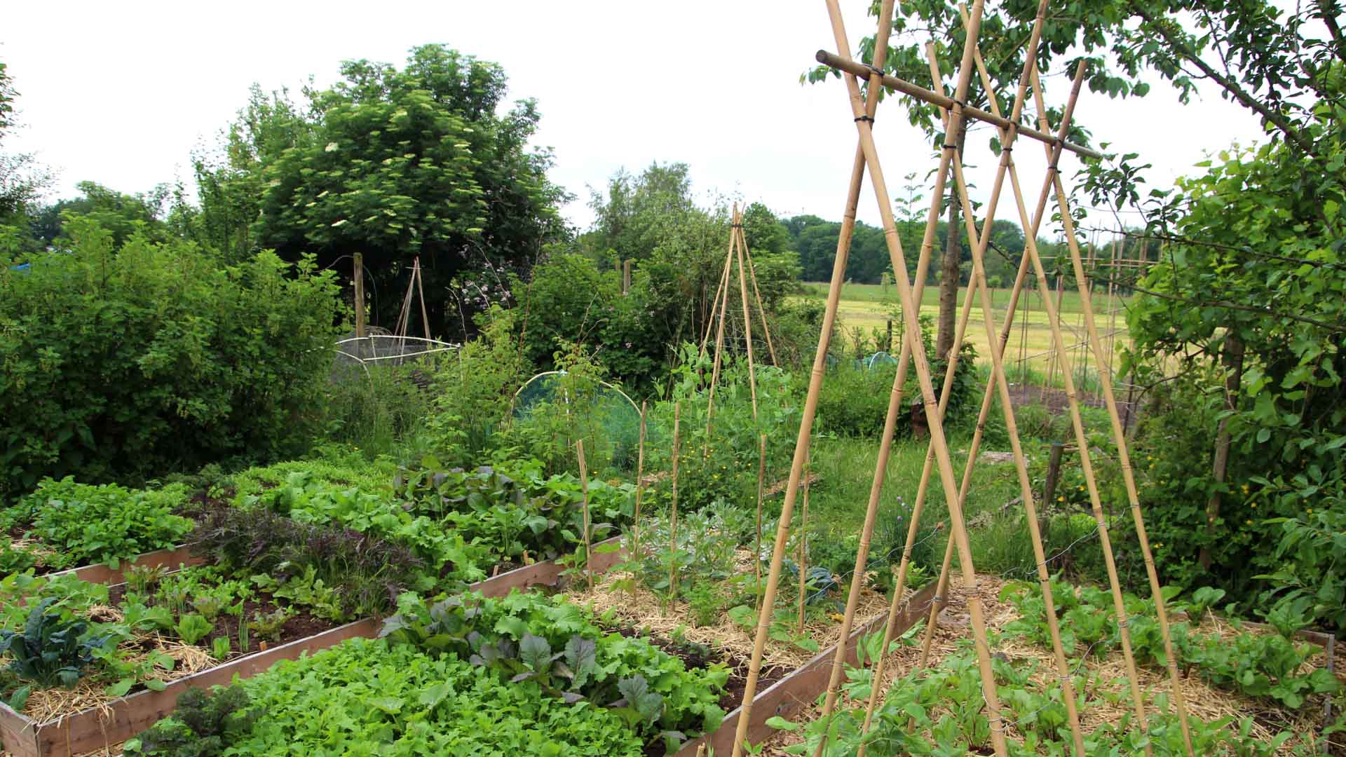 Permaculture Wallpapers - Top Free Permaculture Backgrounds ...