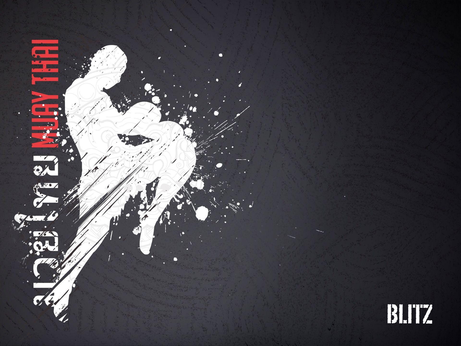 Mixed Martial Arts Wallpapers - Top Free Mixed Martial Arts Backgrounds ...