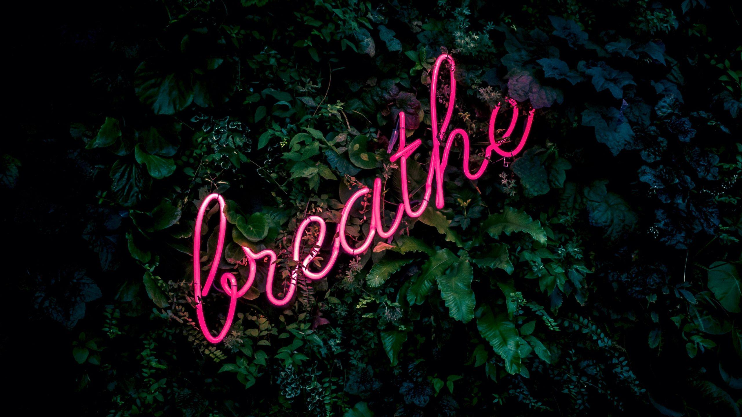 Neon Lights Desktop Wallpapers - Top Free Neon Lights Desktop ...