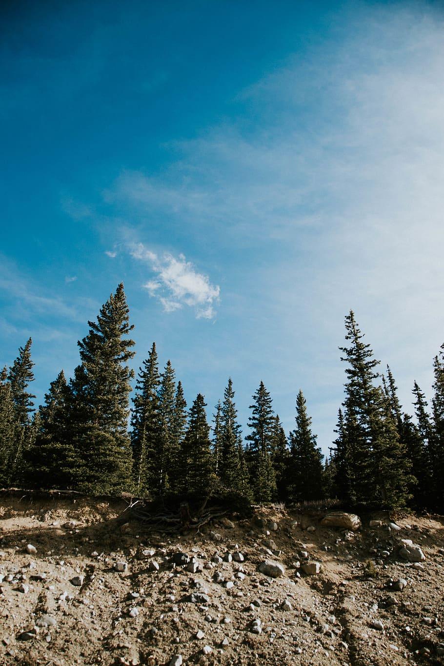 Breckenridge Wallpapers - Top Free Breckenridge Backgrounds ...