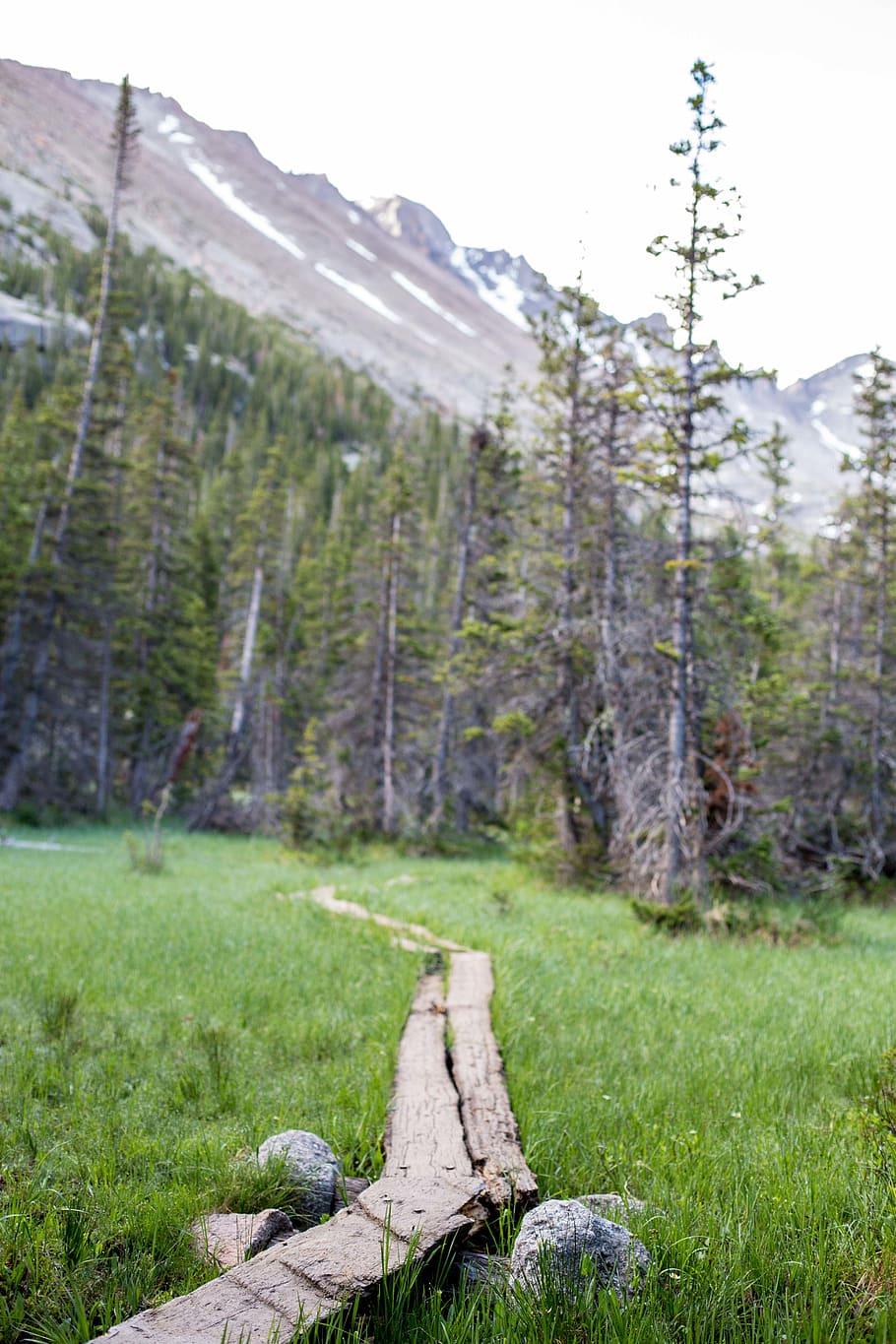 Estes Park Wallpapers - Top Free Estes Park Backgrounds - WallpaperAccess