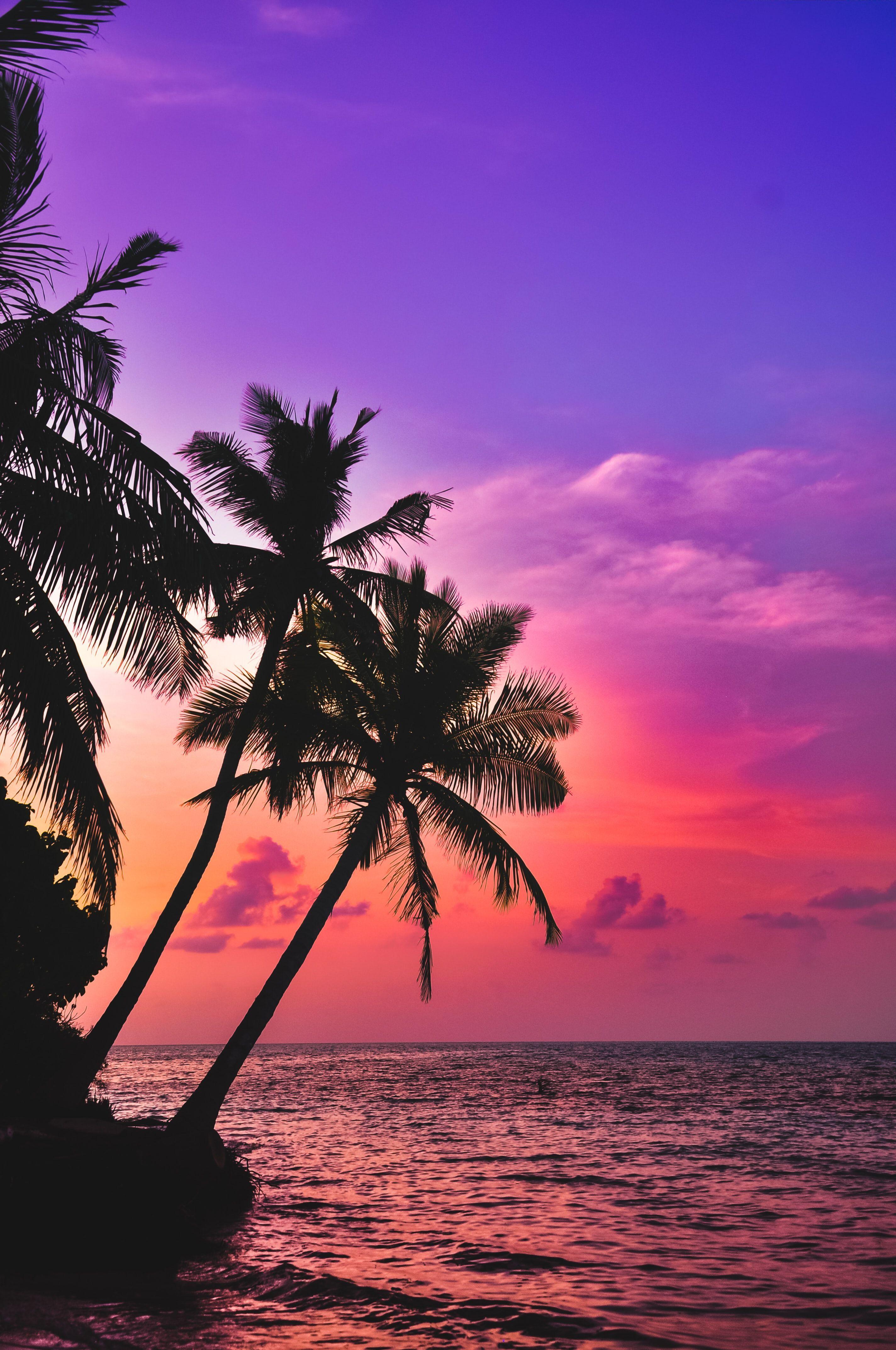 Pink Beach Sunset iPhone Wallpapers - Top Free Pink Beach Sunset iPhone ...