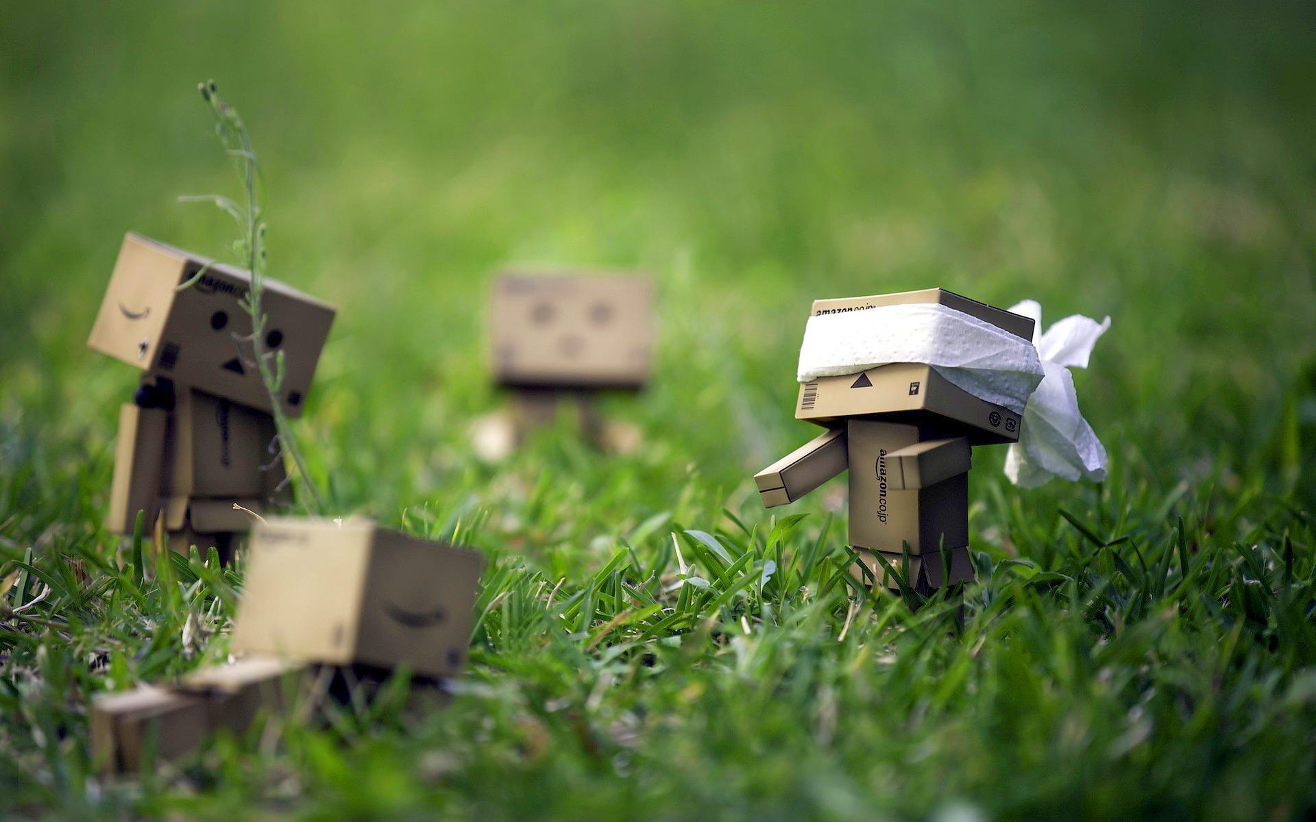 Danboard Wallpapers - Top Free Danboard Backgrounds - WallpaperAccess