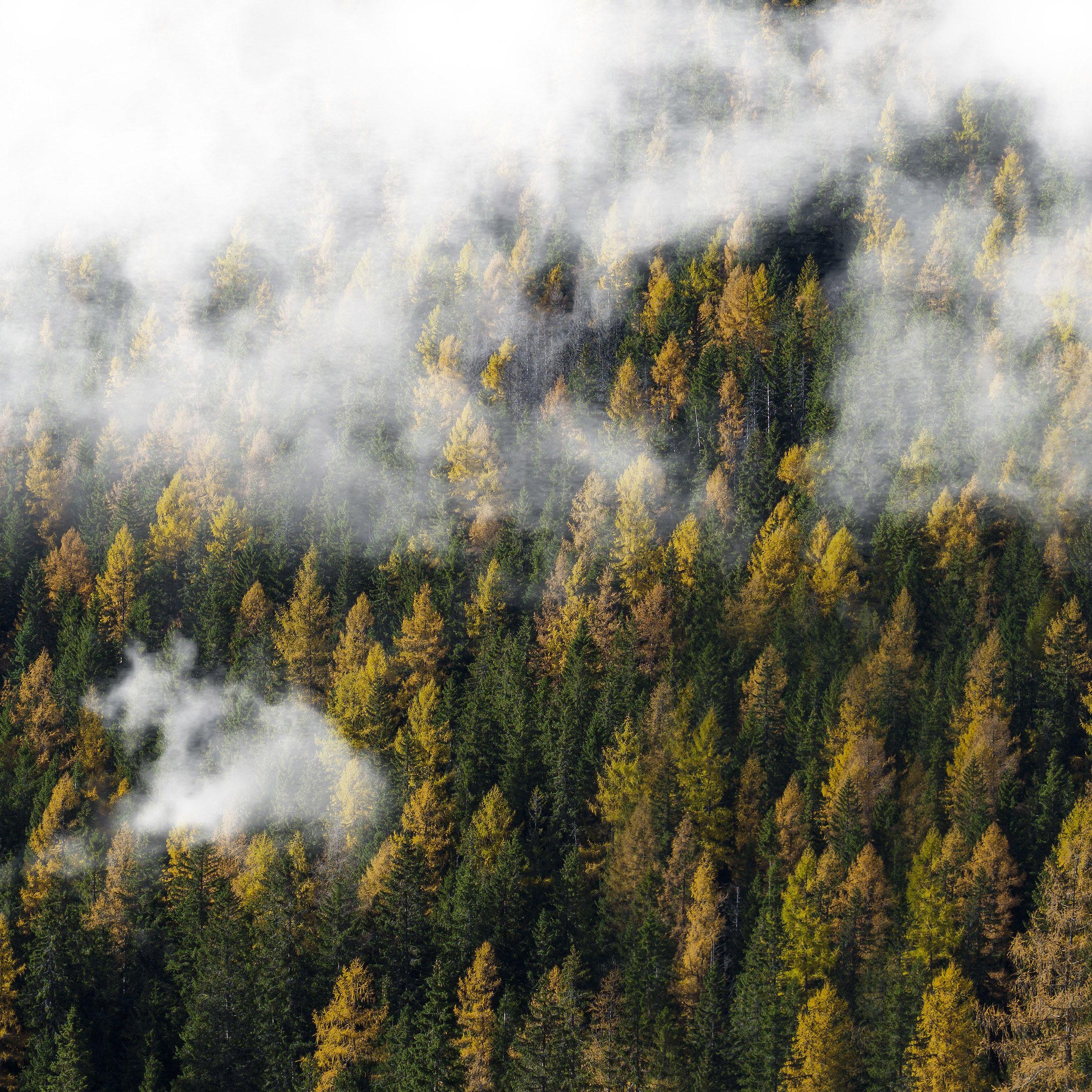 Foggy Mountain Wallpapers - Top Free Foggy Mountain Backgrounds ...