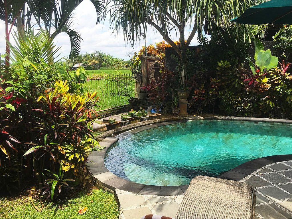 Ubud Bali Wallpapers - Top Free Ubud Bali Backgrounds - WallpaperAccess