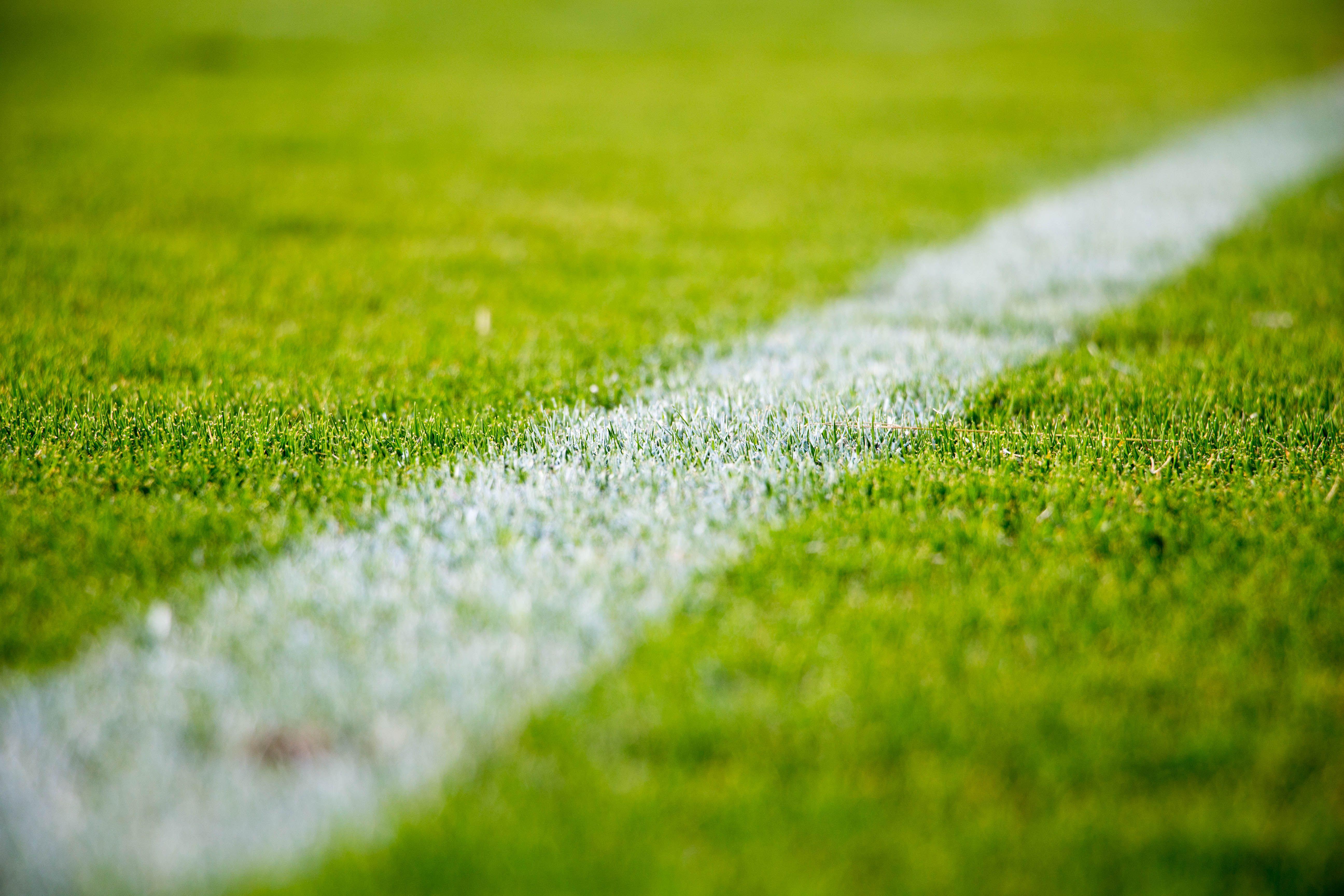 Grass Field Wallpapers - Top Free Grass Field Backgrounds - WallpaperAccess