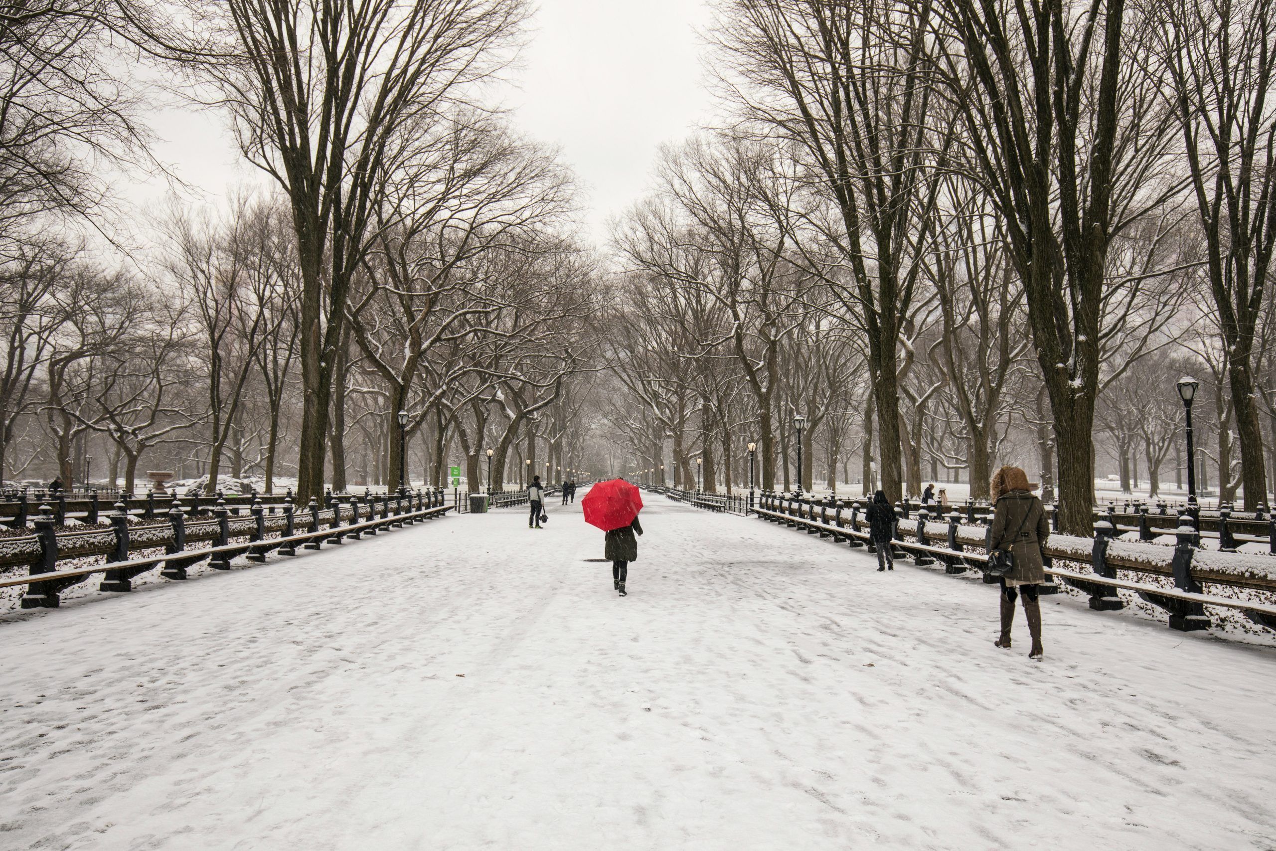 Winter USA Wallpapers - Top Free Winter USA Backgrounds - WallpaperAccess