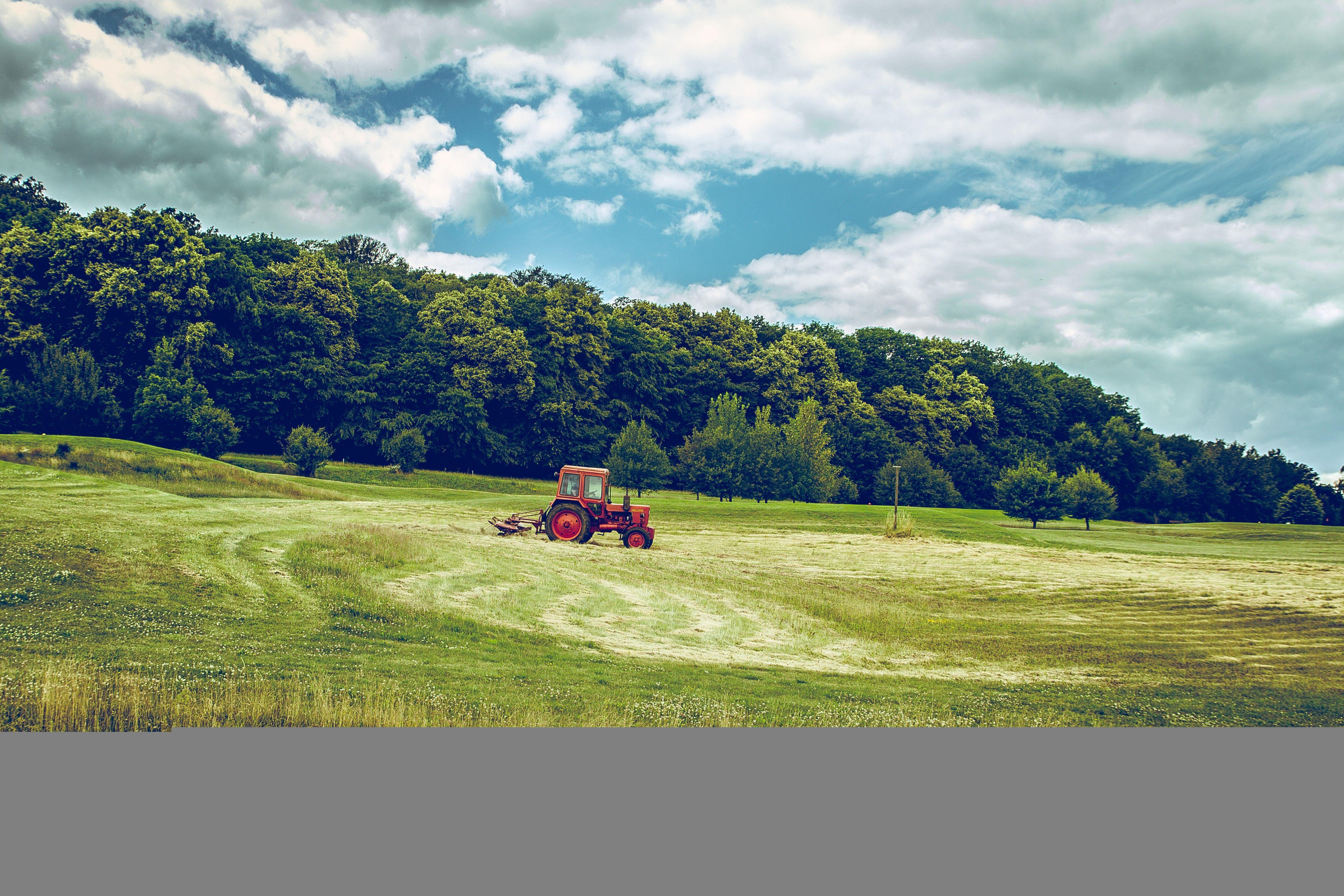 Pasture Wallpapers - Top Free Pasture Backgrounds - WallpaperAccess