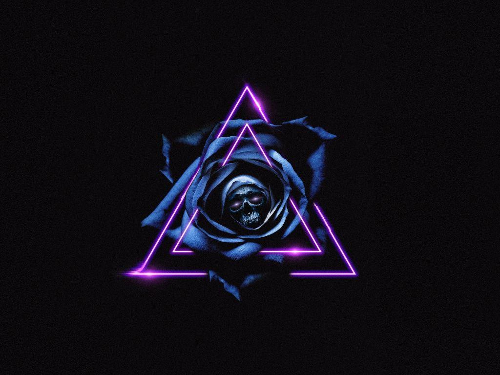 Skull And Roses Wallpapers - Top Free Skull And Roses Backgrounds ...