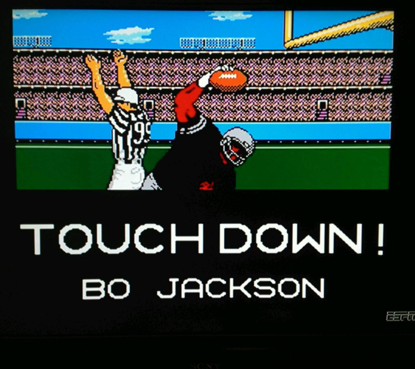 Bo Jackson Wallpapers - Top Free Bo Jackson Backgrounds - WallpaperAccess