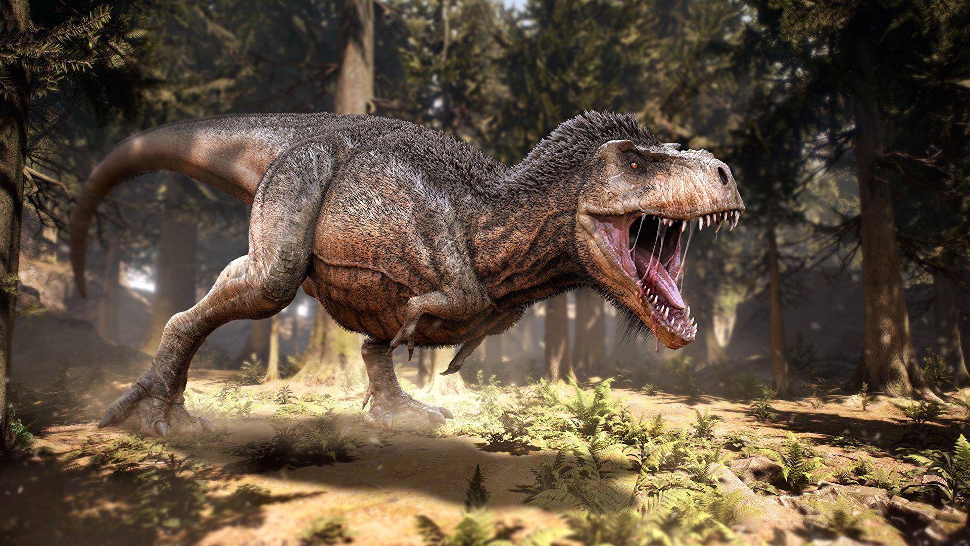 Tyrannosaurus Wallpapers - Top Free Tyrannosaurus Backgrounds ...