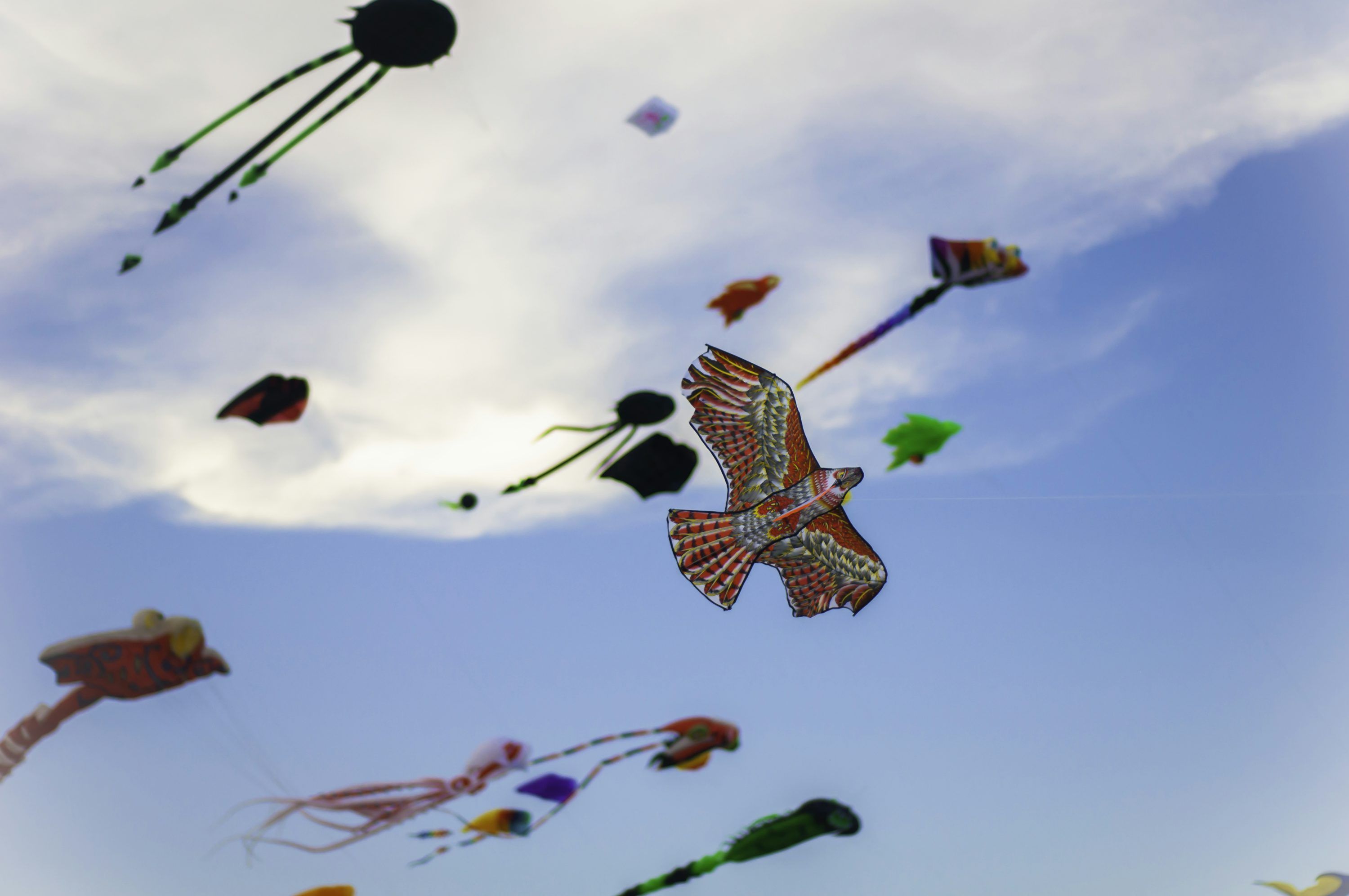 Kite Festival Wallpapers - Top Free Kite Festival Backgrounds ...